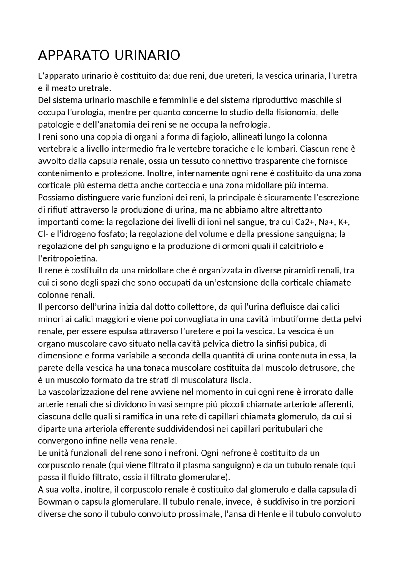 Sintesi Dellapparato Urinario Schemi E Mappe Concettuali Di Anatomia