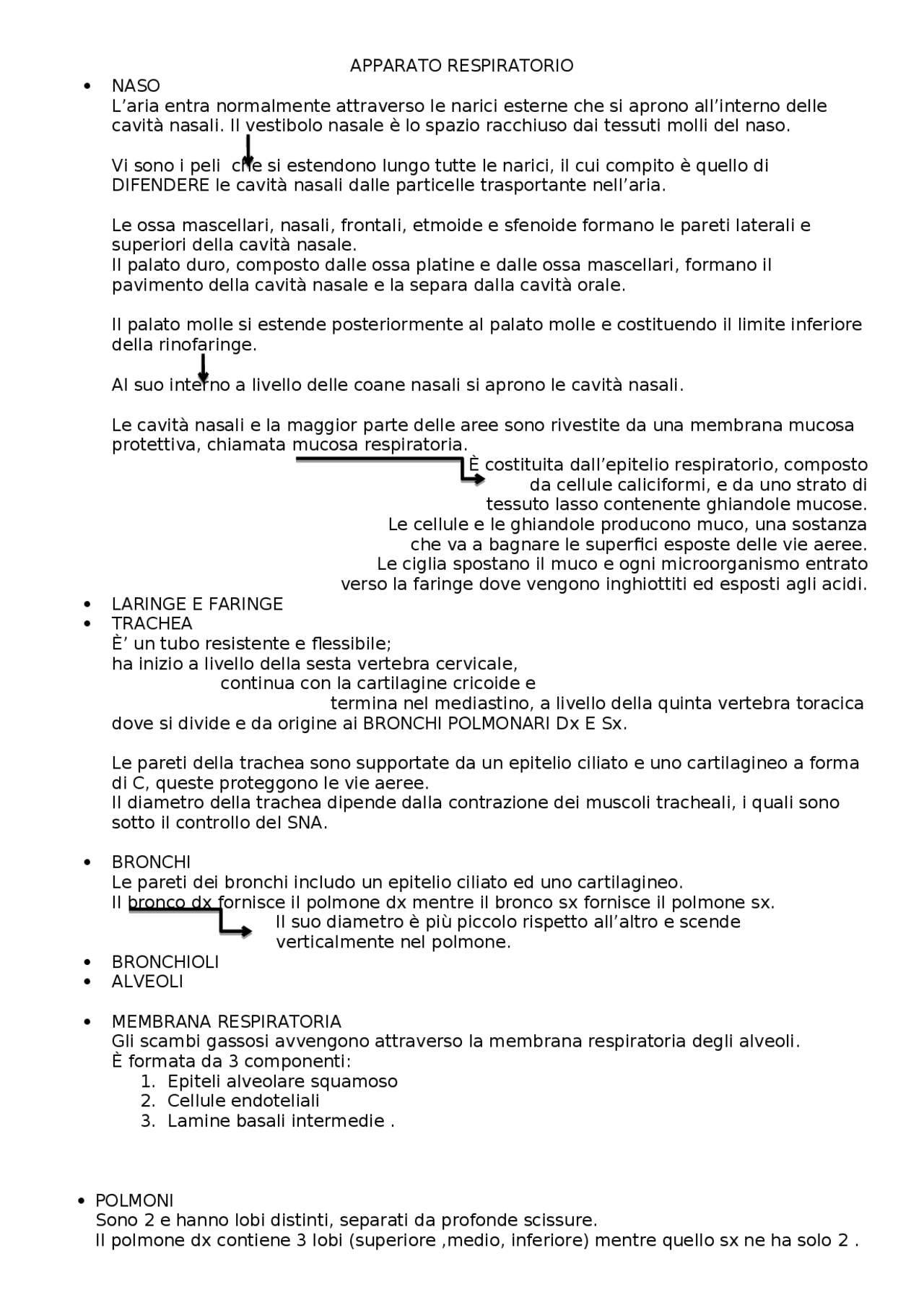 Apparato Respiratorio Appunti Di Anatomia Docsity