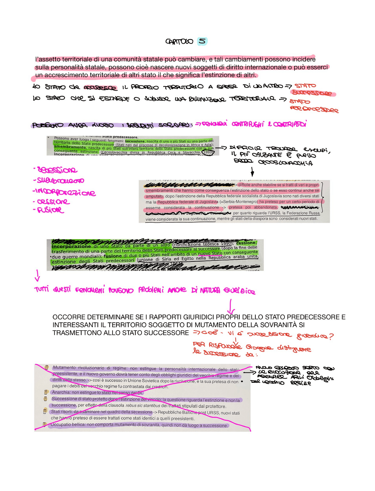 Schemi E Riassunti Diritto Internazionale Schemi E Mappe Concettuali
