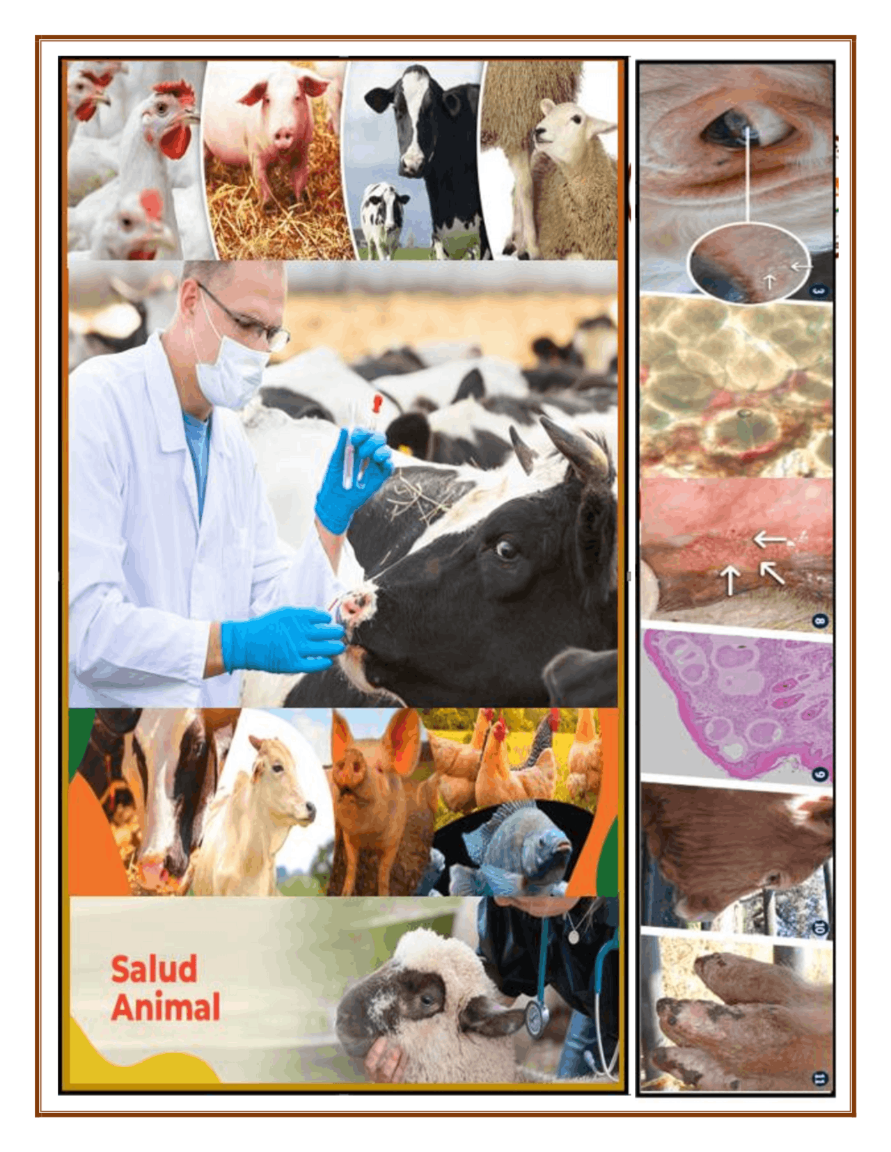 Salud animal.l bienestar de los animales, la salud humana, la protección del medio ambient ...