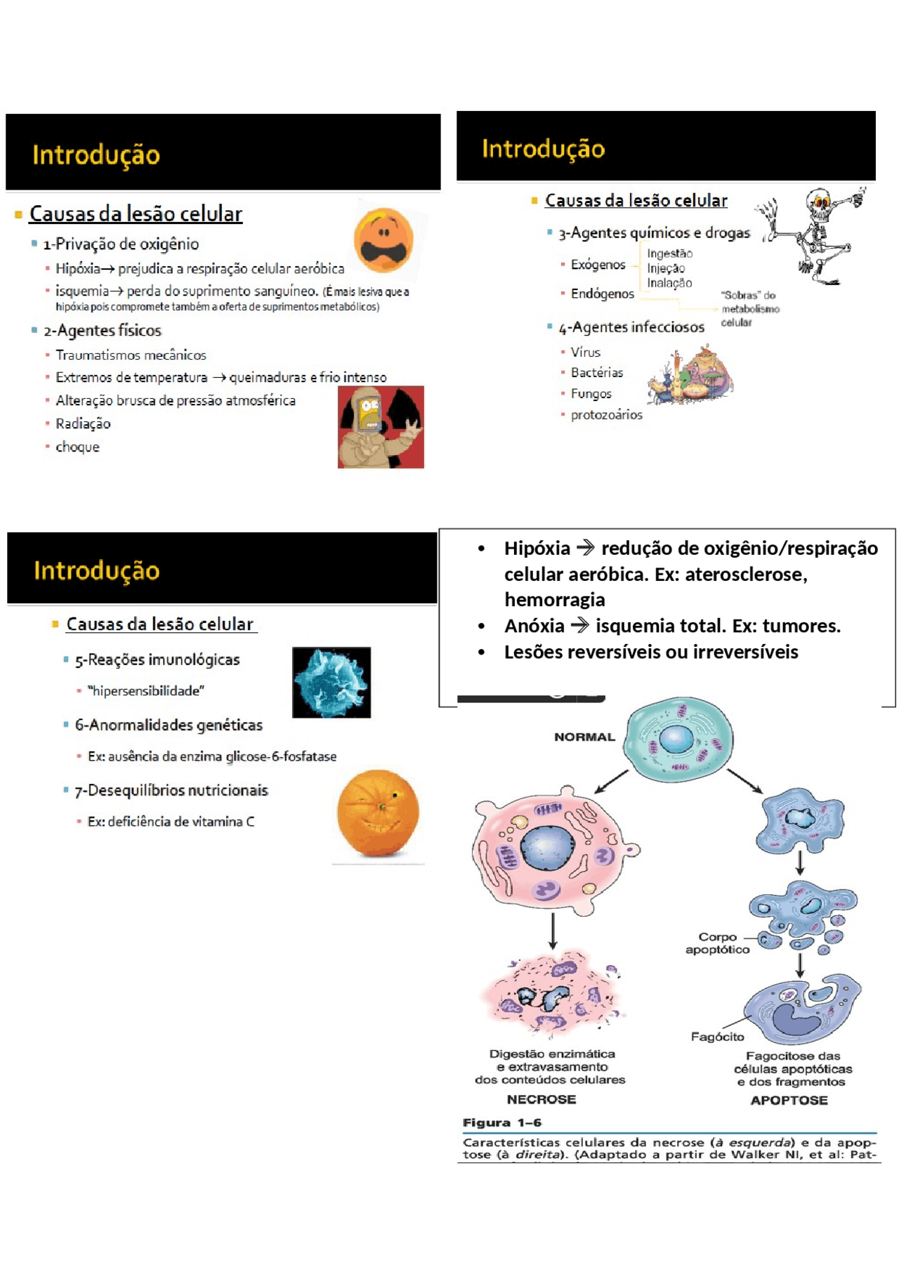 Para Imprimir Documento Resumido Resumos Biologia Docsity