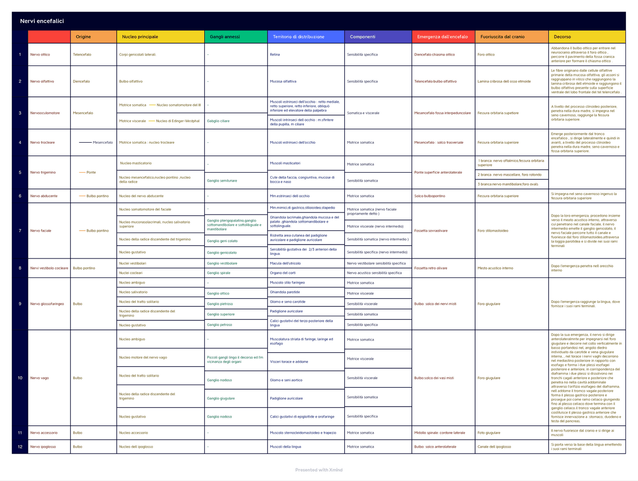 Schema Nervi Cranici Schemi E Mappe Concettuali Di Anatomia Iii Docsity