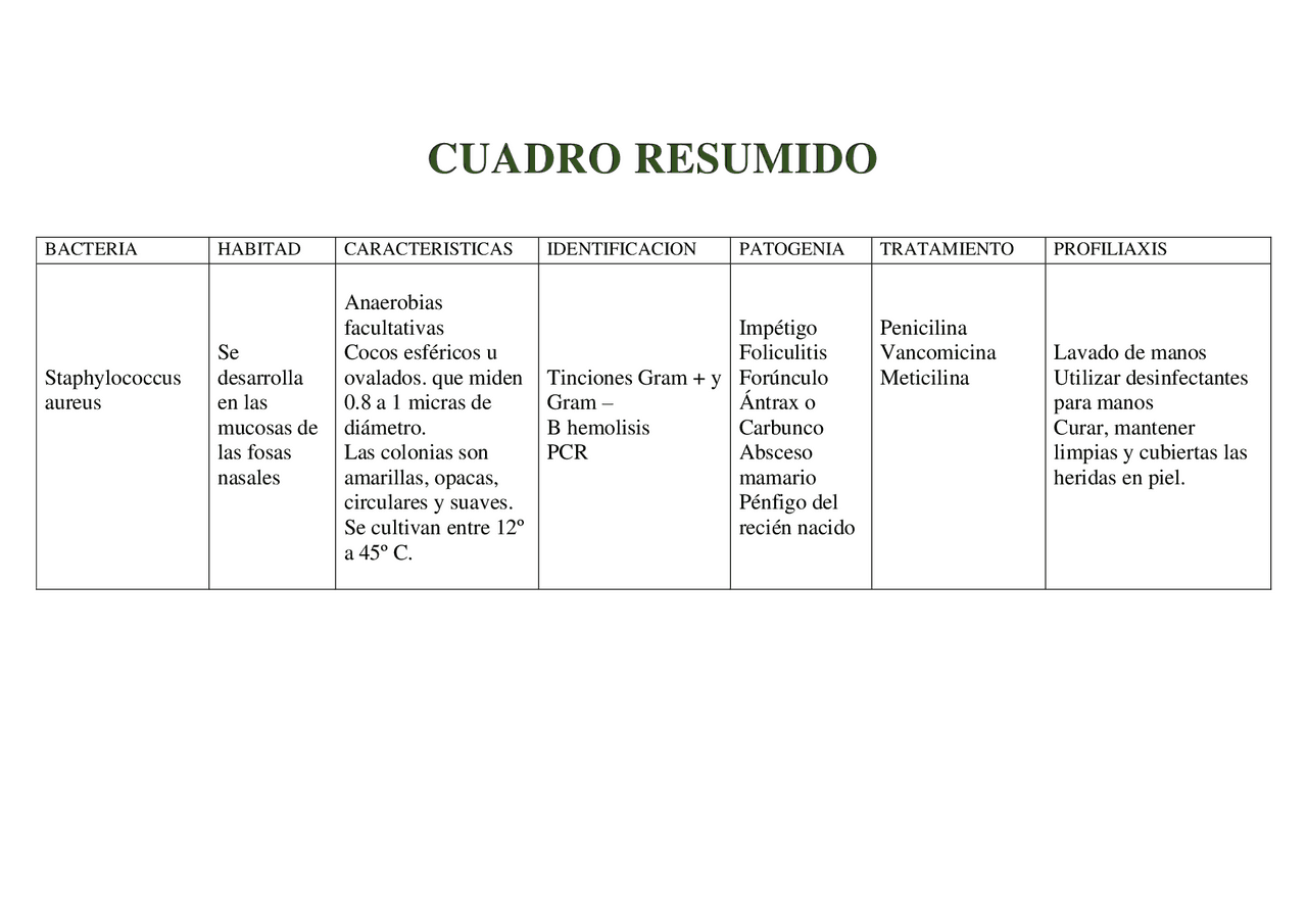 Staphylococcus Aureus Apuntes De Biología Docsity