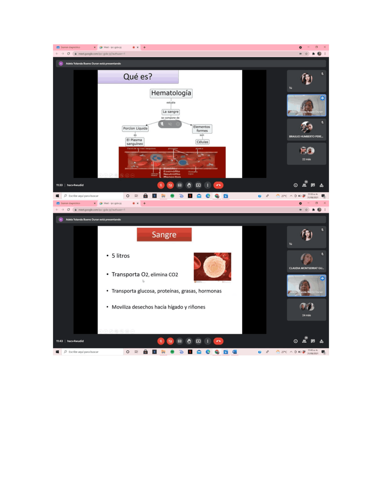 Apuntes Hematología Diapositivas De Hematología Docsity