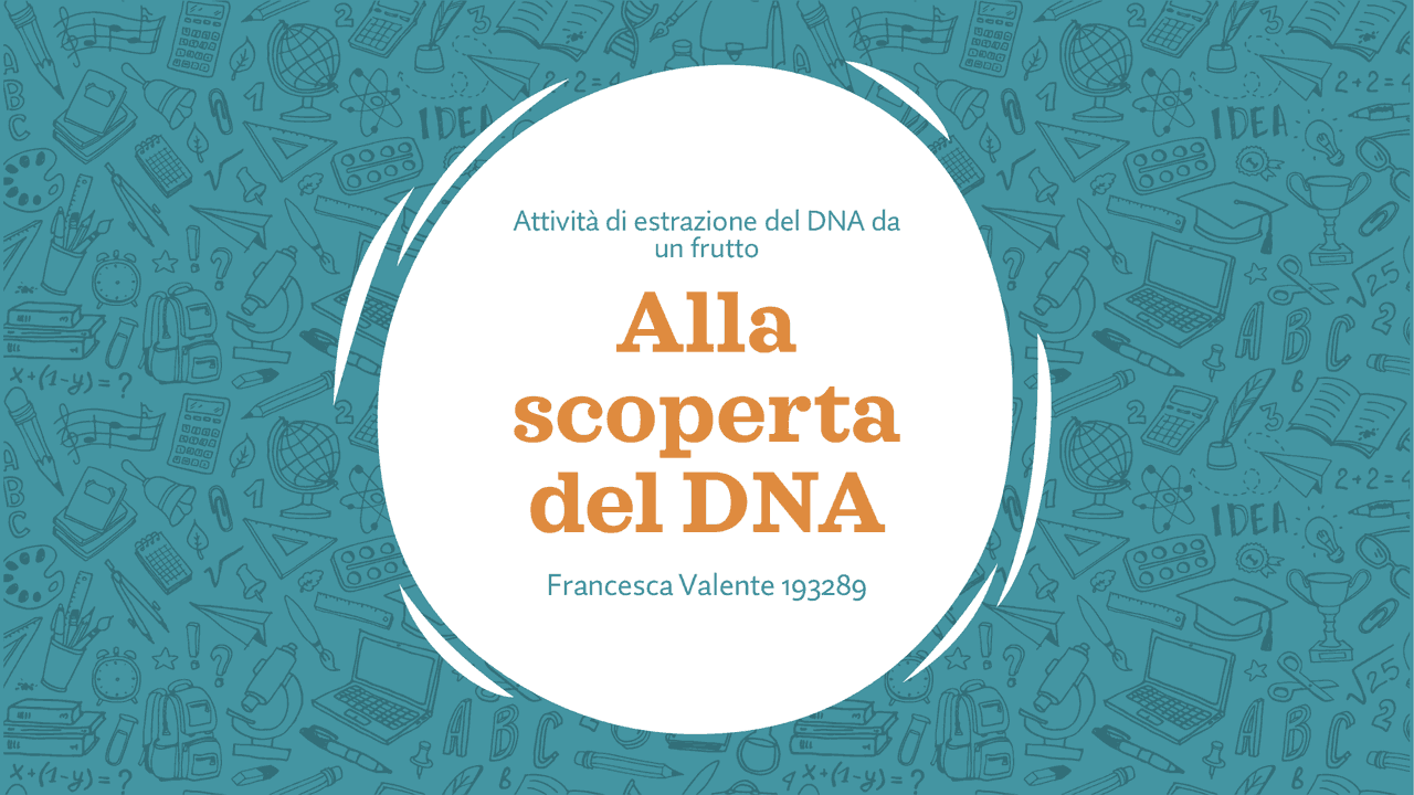 Mappa Scienze Dna Attività Slide Di Scienze Della Terra Docsity