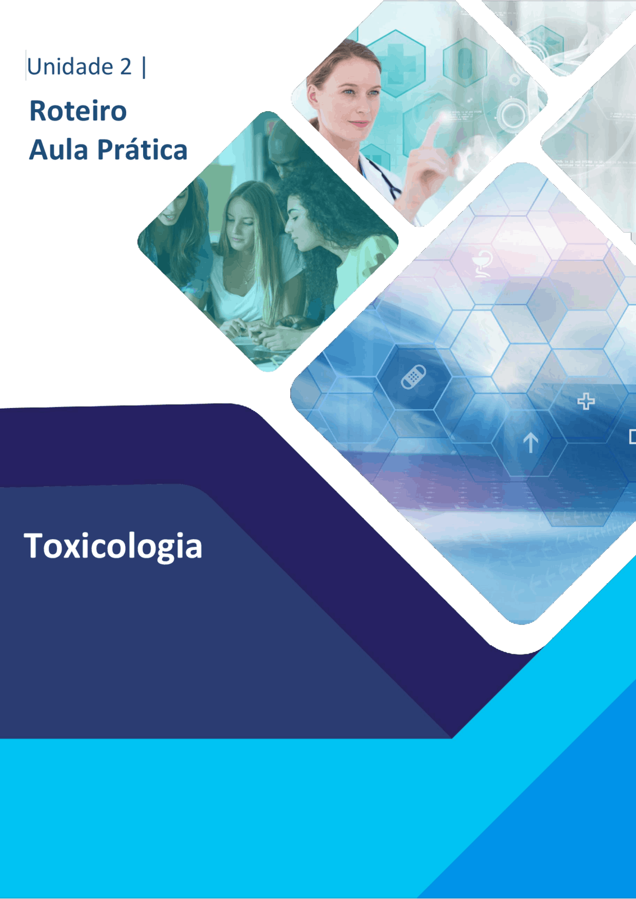 Roteiro Das Aulas PrÁticas Manuais Projetos Pesquisas Toxicologia