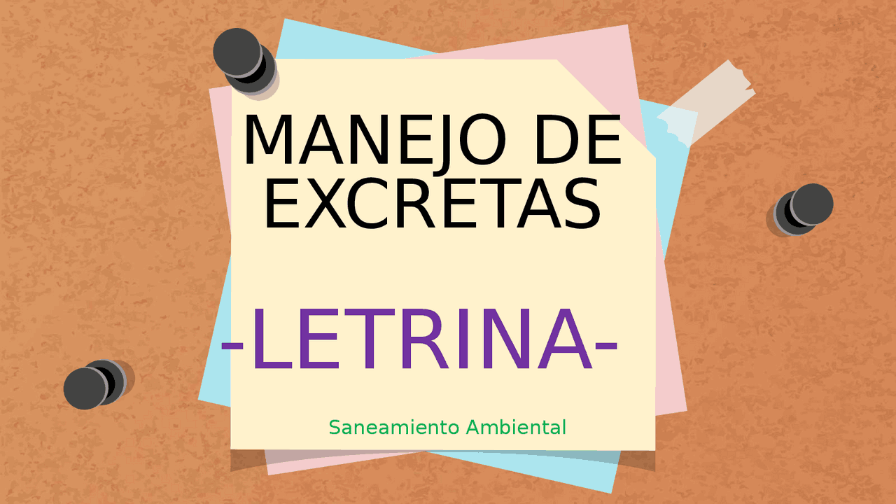 Letrina y sus usos e recomendaciones para una buena salud | Resúmenes ...