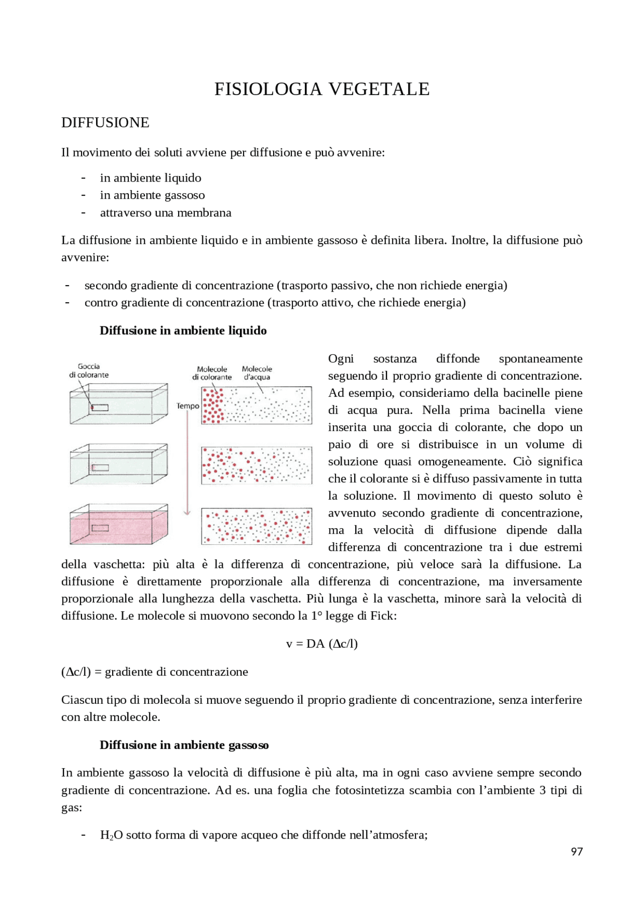 APPUNTI DI FISIOLOGIA VEGETALE | Sbobinature di Fisiologia Vegetale ...