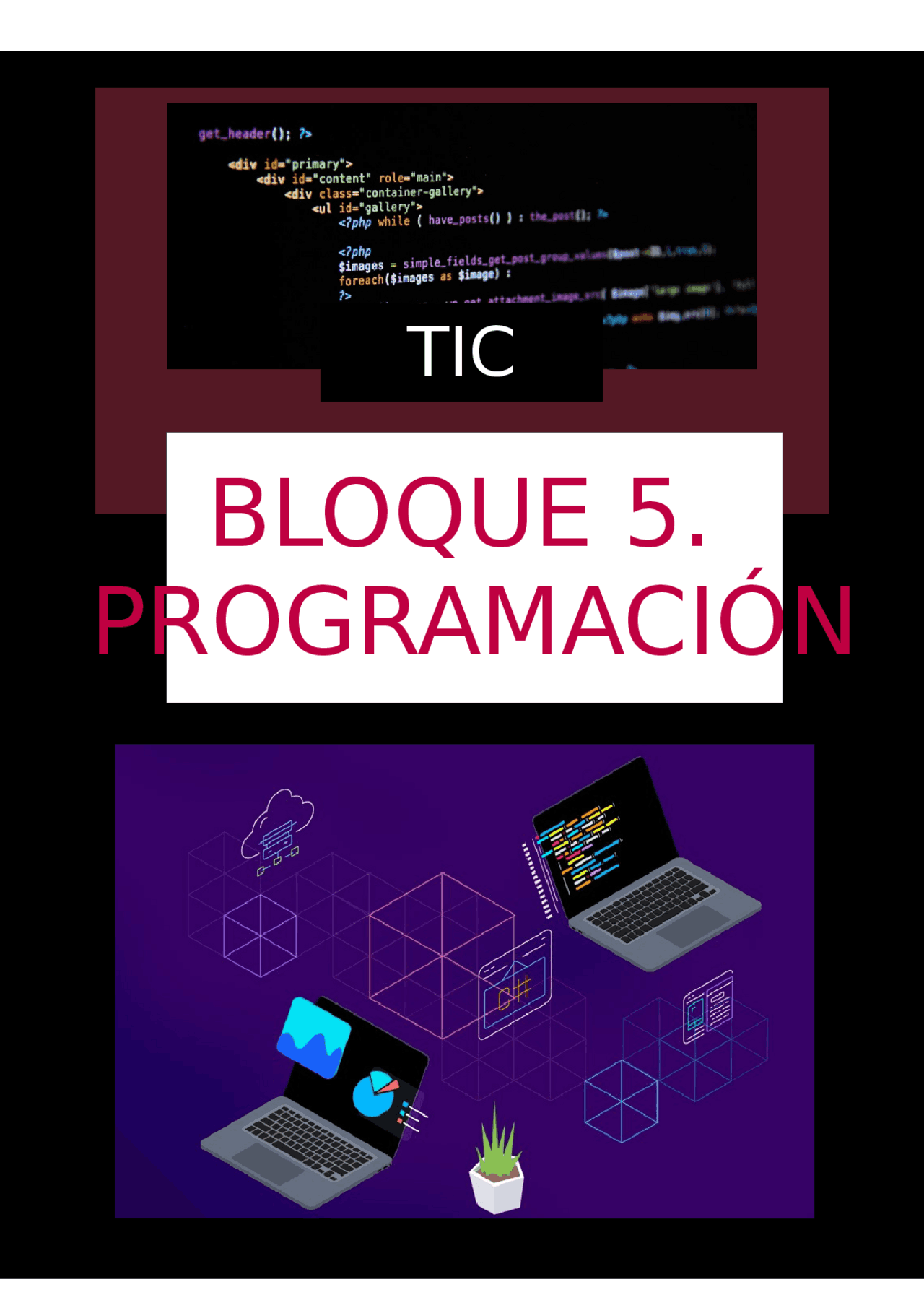 Fundamentos De La Programación Resúmenes De Tecnología Docsity