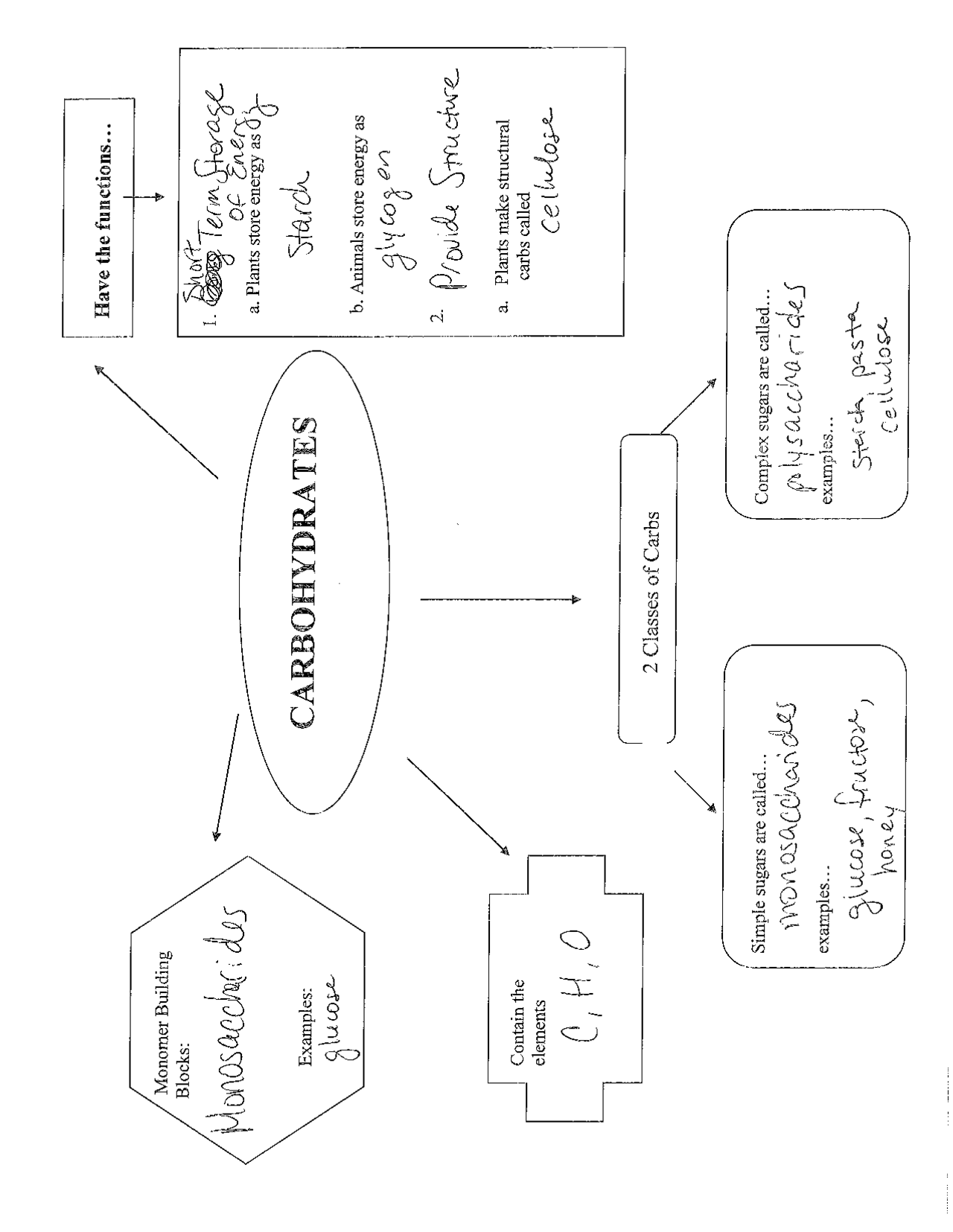 Summary Of Biomolecules Summaries Biology Docsity