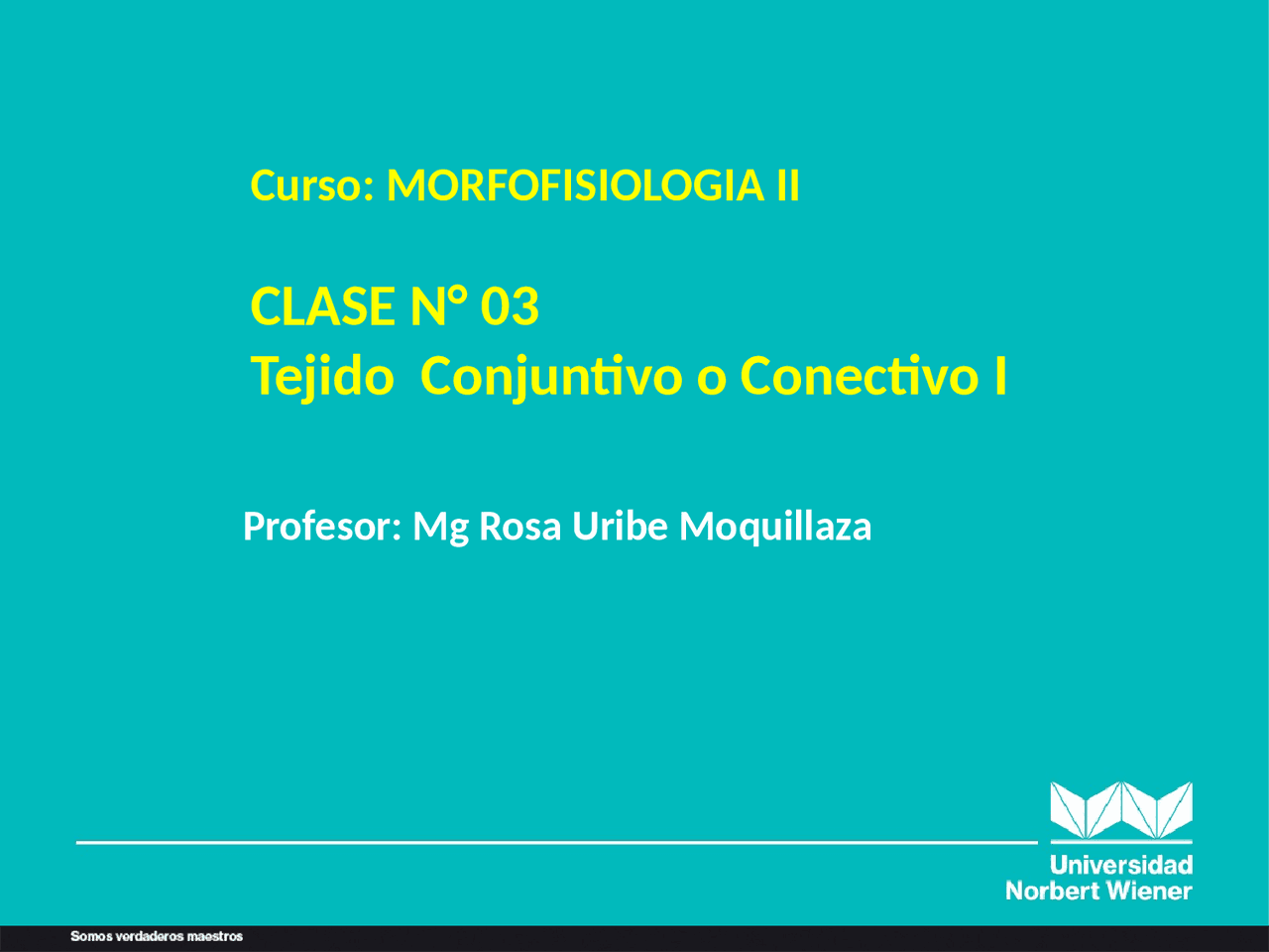 Tejido Conjuntivo O Conectivo I Diapositivas De Histología Docsity