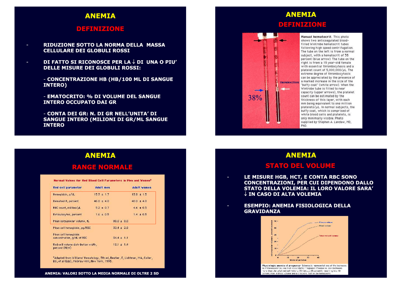 Anemia Criteri Diagnostici Appunti Di Endocrinologia Docsity