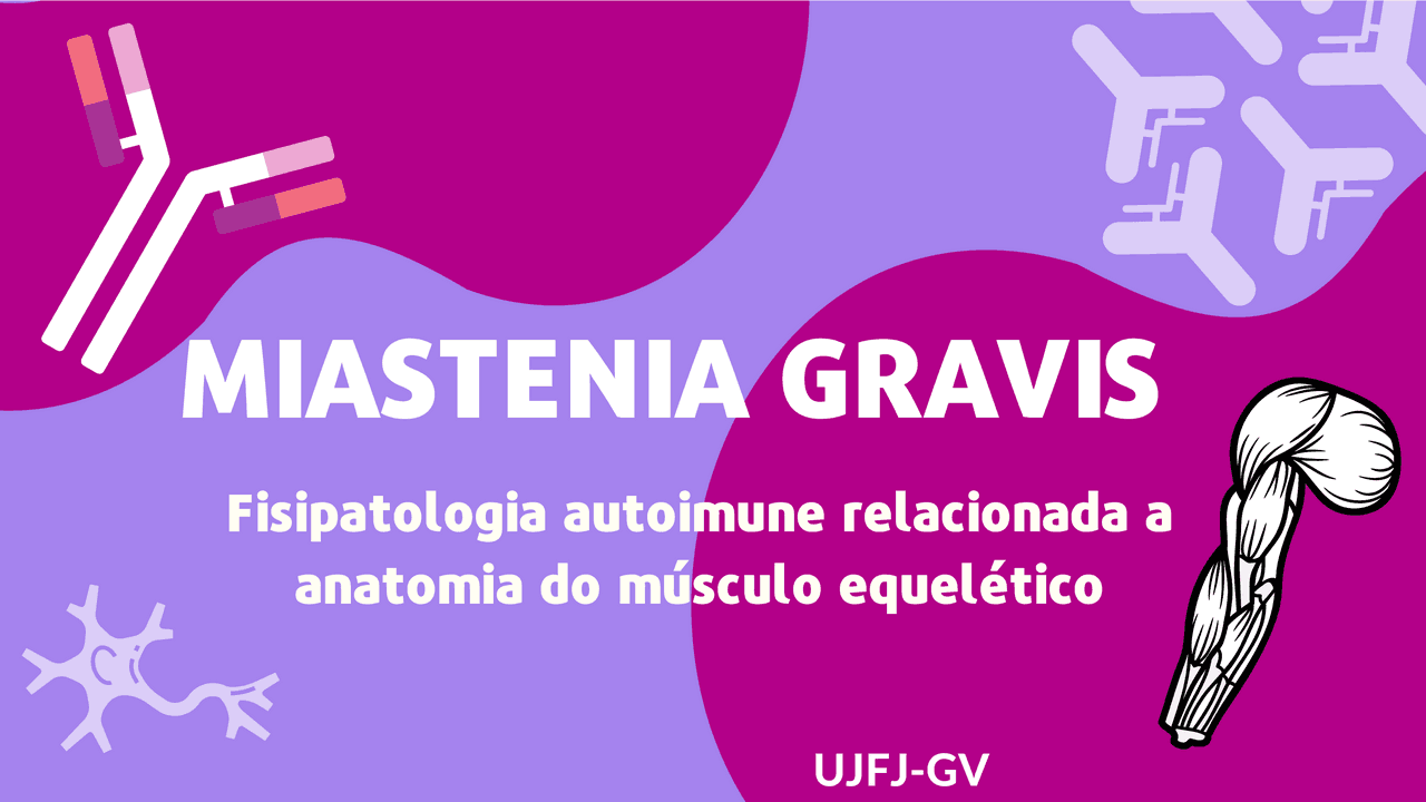 Miastenia gravis -fisiopatológia | Slides Fisiologia | Docsity