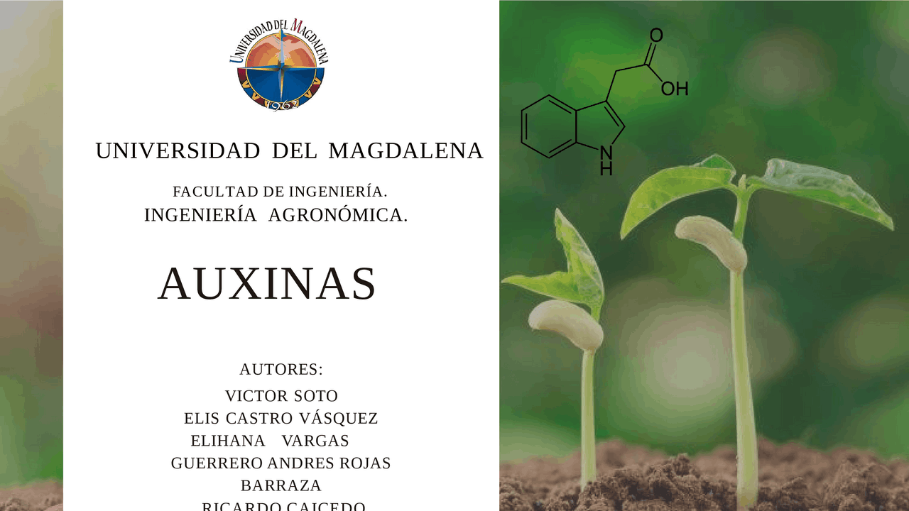 Auxinas, desarrollo y crecimiento de las plantas | Monografías, Ensayos ...