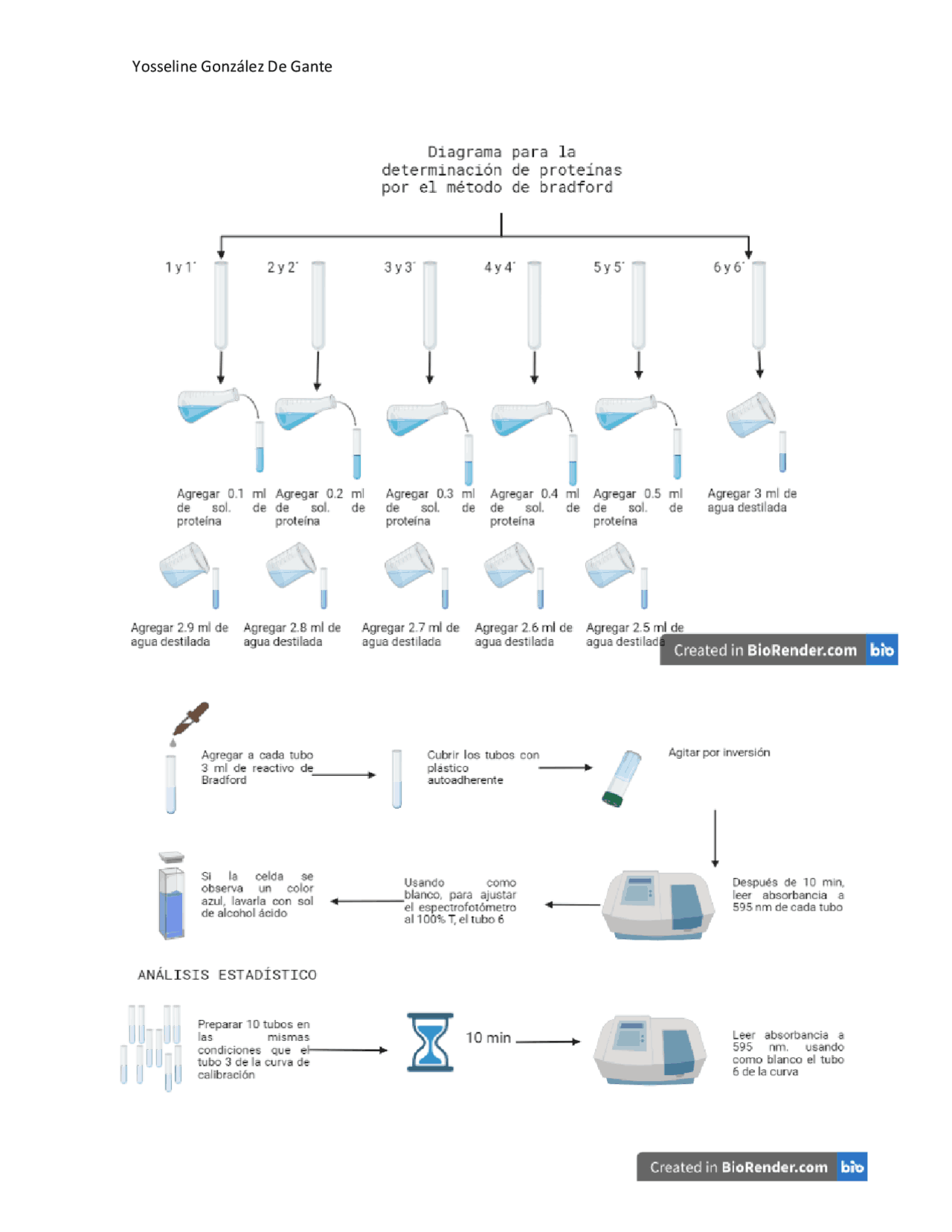 Diagrama de bradford | Apuntes de Bioquímica | Docsity