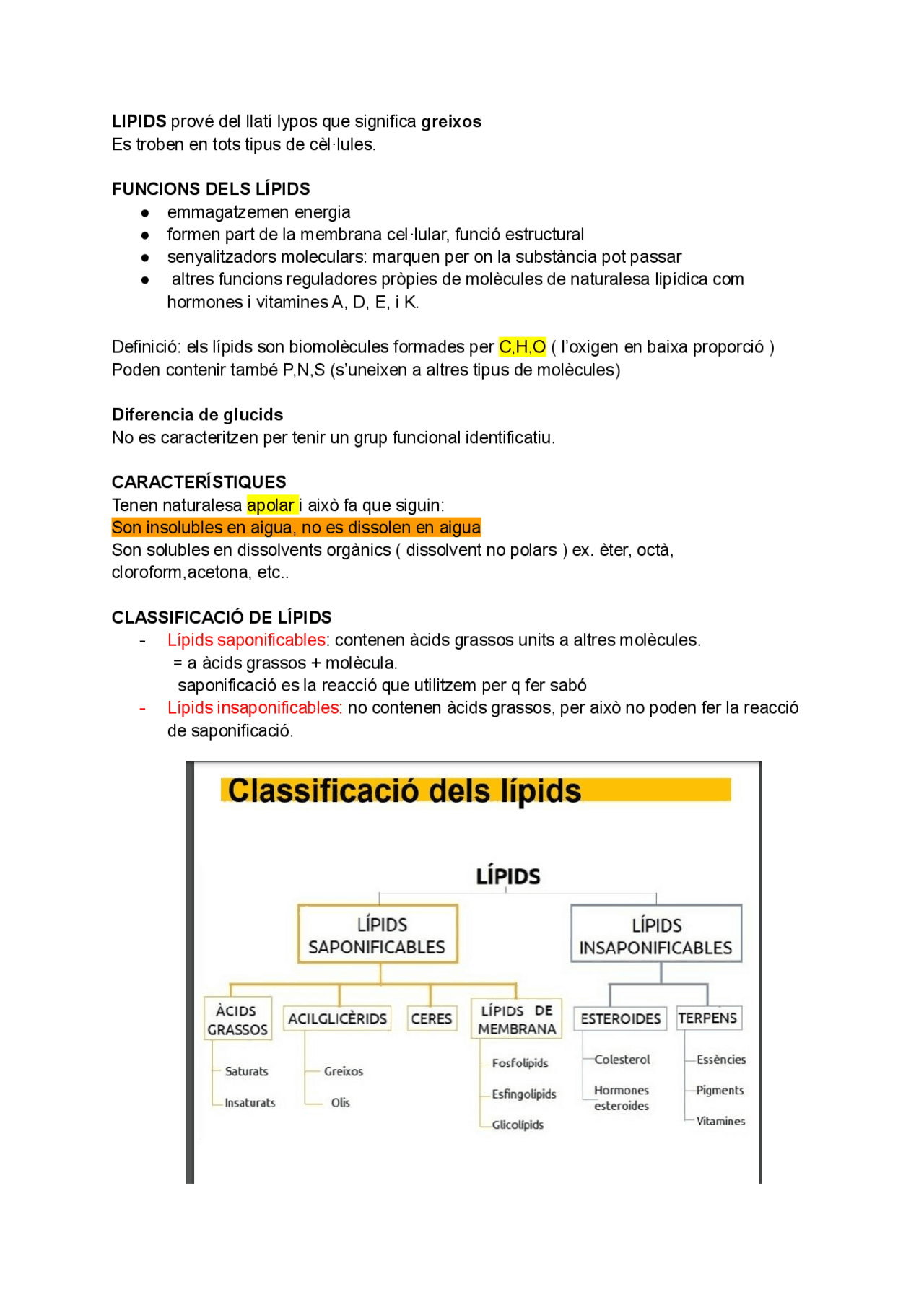 Lípids 1r De Bachillerat Apuntes De Biología Docsity