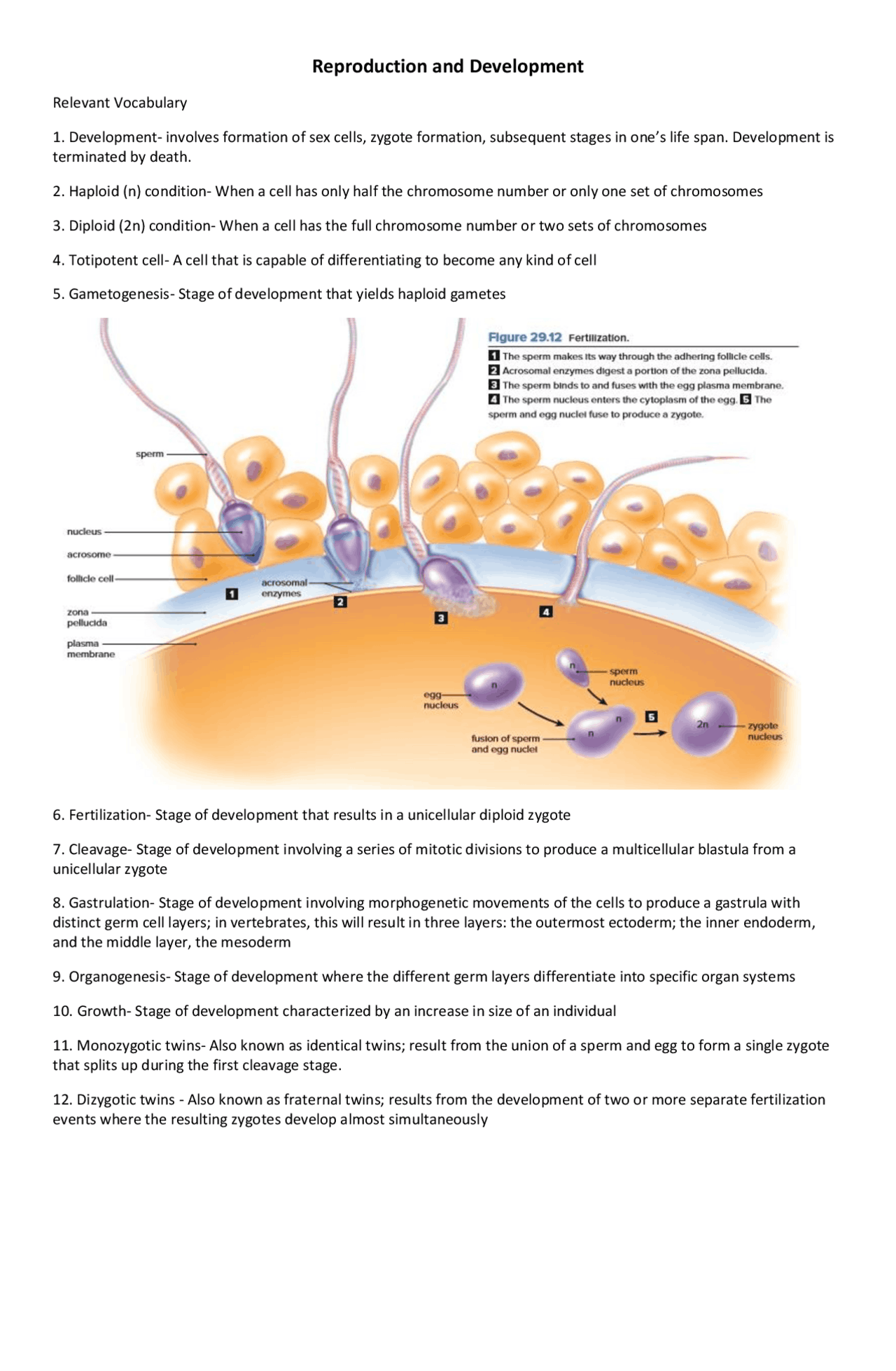 Reproductive System Reviewer Lecture Notes Earth Science Docsity