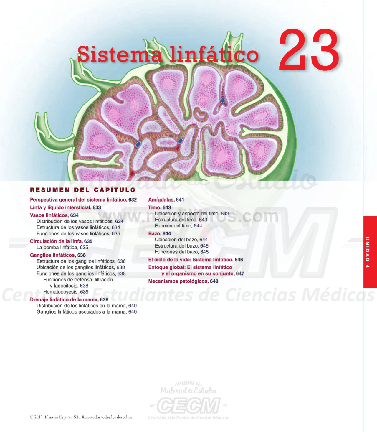 Sistema Linfatico Linfa Apuntes De Enfermería Clínica Docsity