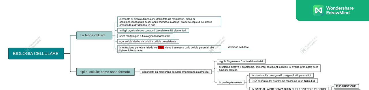 Cellula Procariotiche Schemi E Mappe Concettuali Di Biologia Docsity