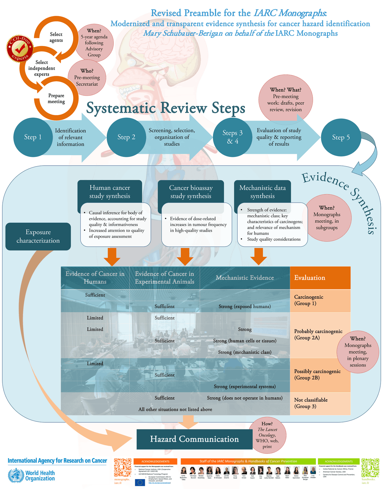Revised Preamble for the IARC Monographs | Esquemas y mapas ...