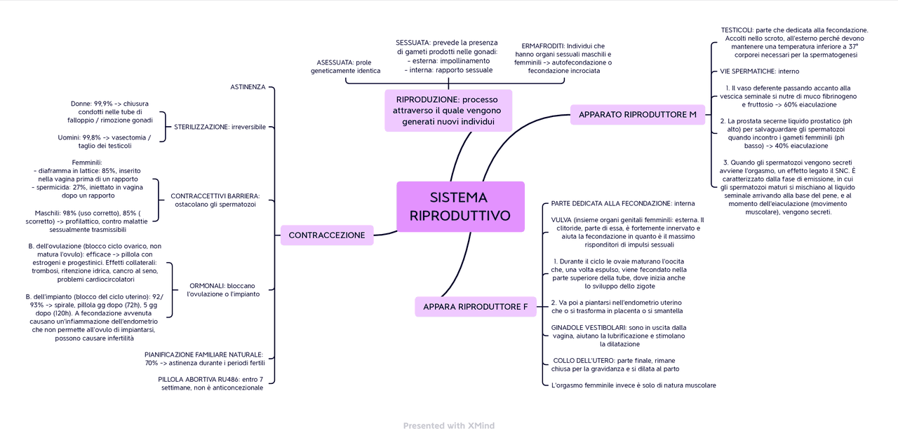 Mappe Concettuali Di Scienze Schemi E Mappe Concettuali Di Scienze