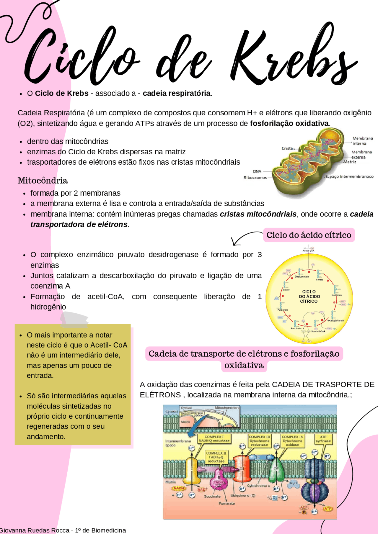 Resumo para estudo de bioquímica! | Notas de estudo Bioquímica | Docsity