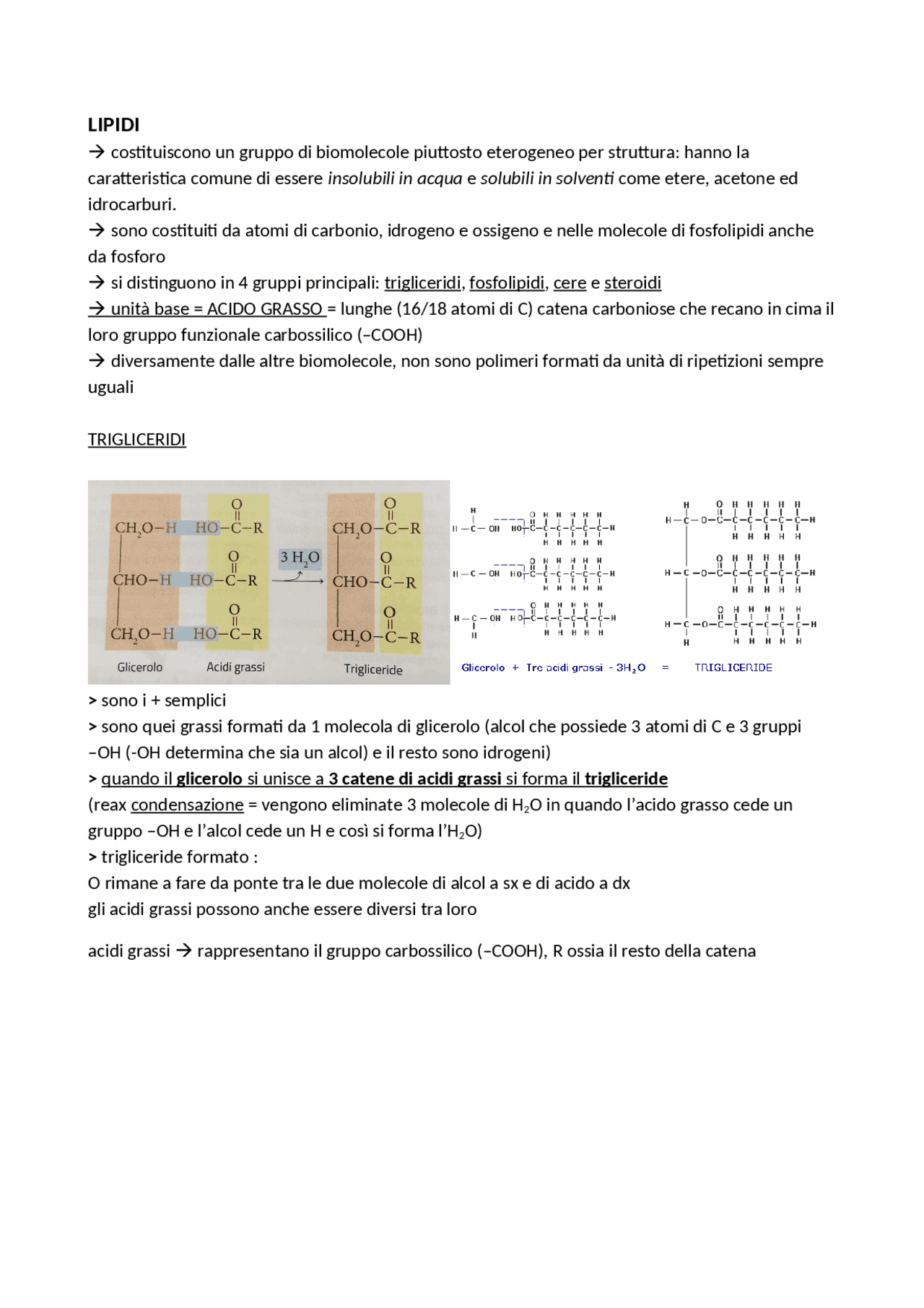 Schema Dettagliato Lipidi Schemi E Mappe Concettuali Di Chimica
