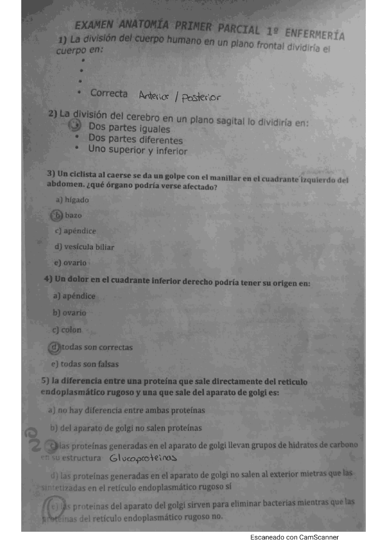Examen 1er Parcial Anatomía Exámenes De Anatomía Docsity