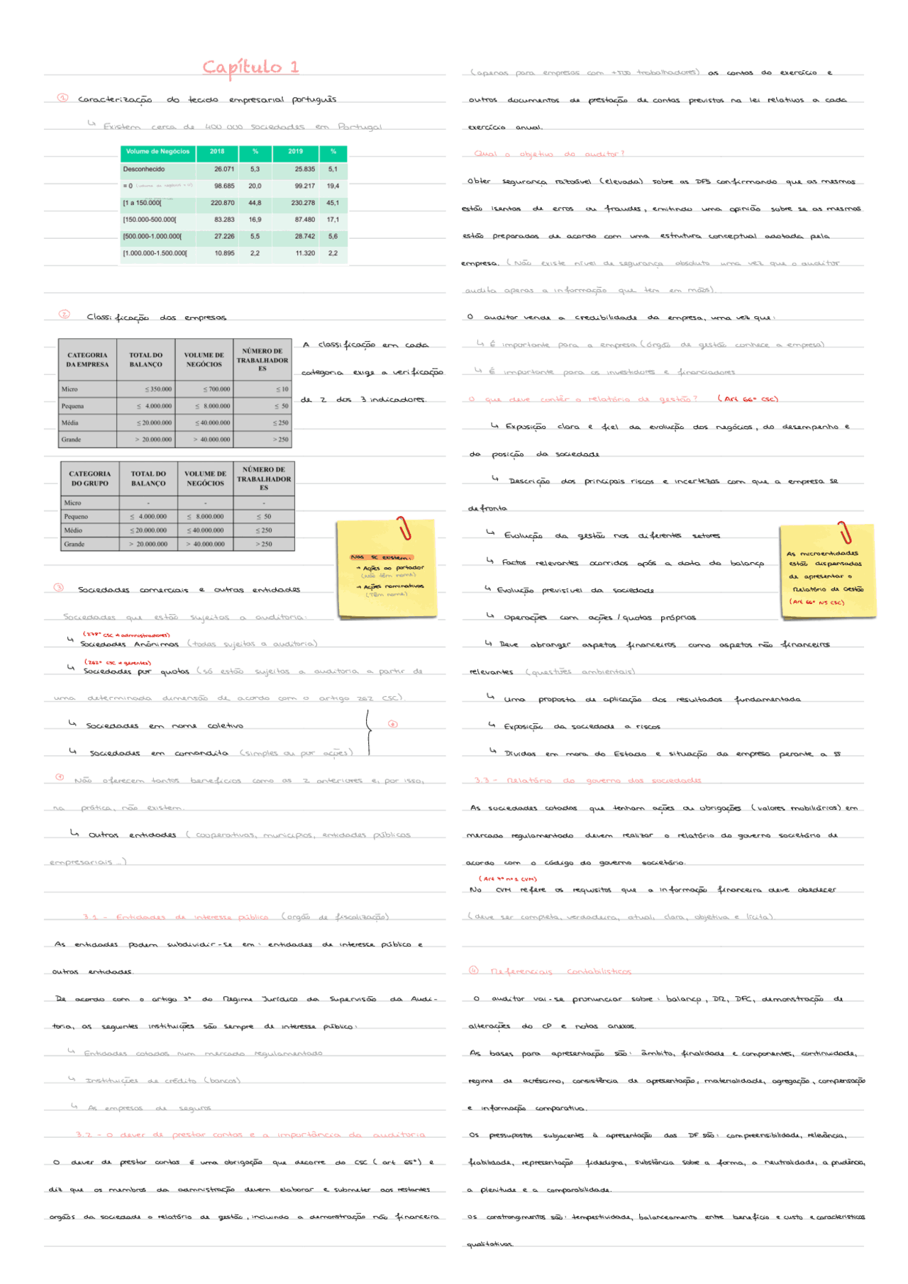 Resumos De Auditoria Resumos Auditoria Docsity