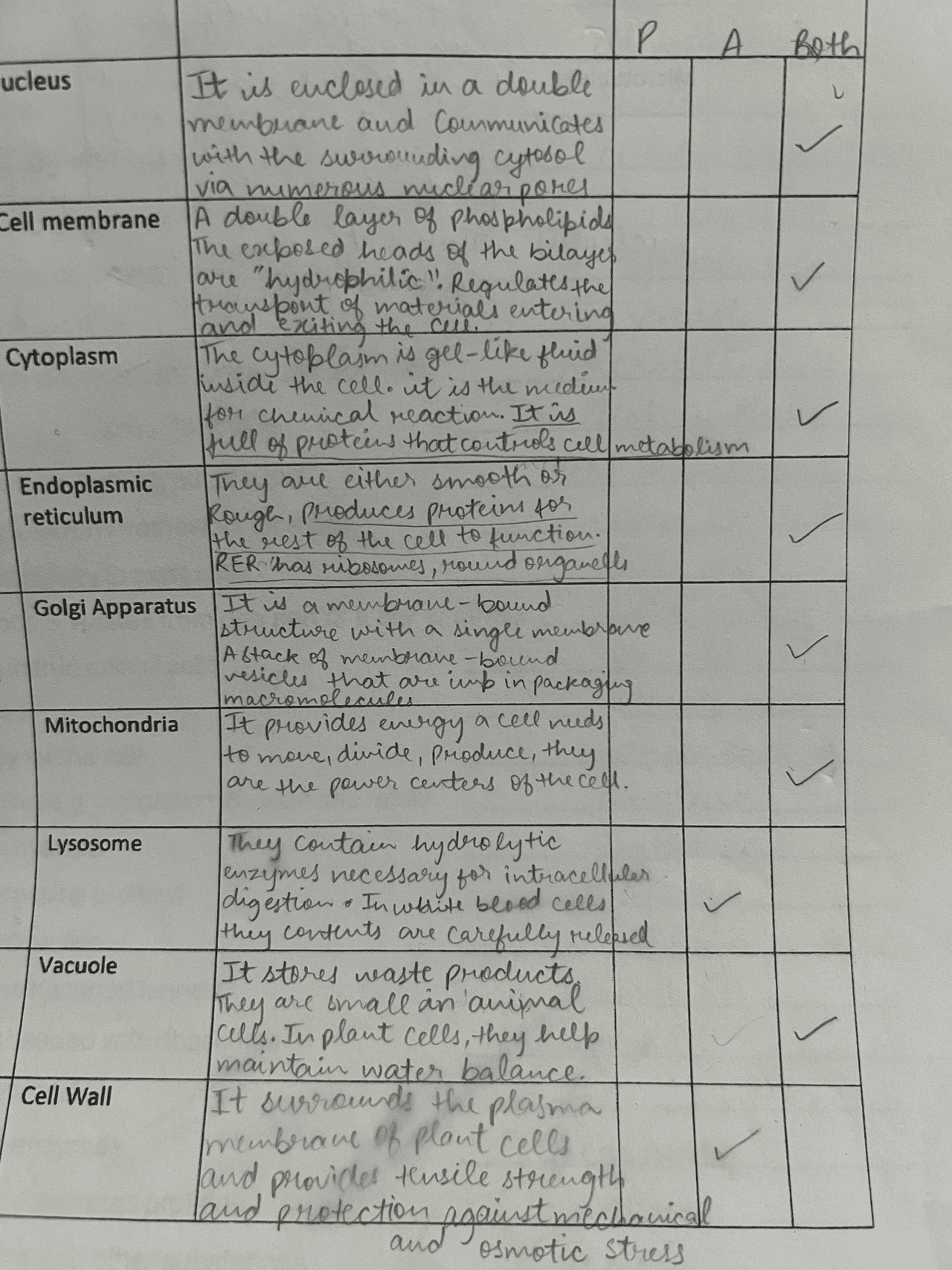Dna Replication Cell Membrane Notes Study Notes Biology Docsity