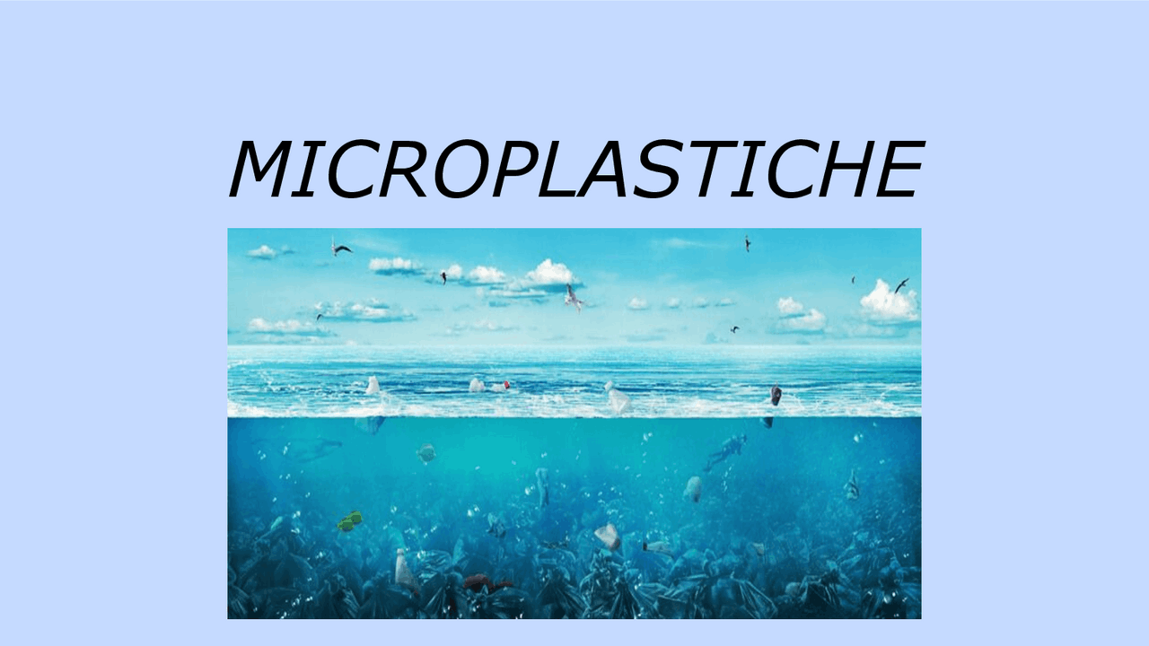 MICROPLASTICHE presentazione | Slide di Scienze della Terra | Docsity
