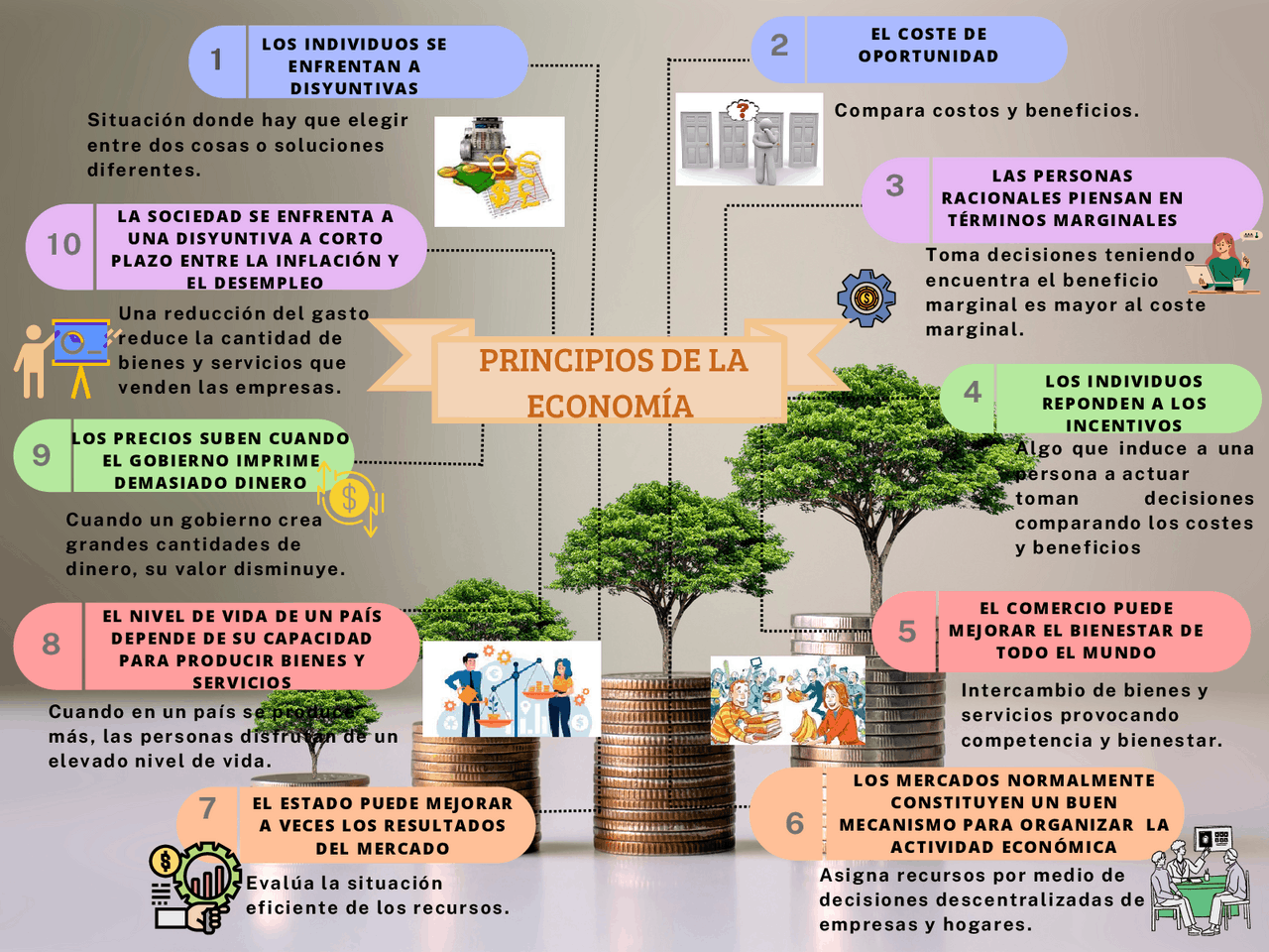 Principios Y ClasificaciÓn De La EconomÍa Esquemas Y Mapas