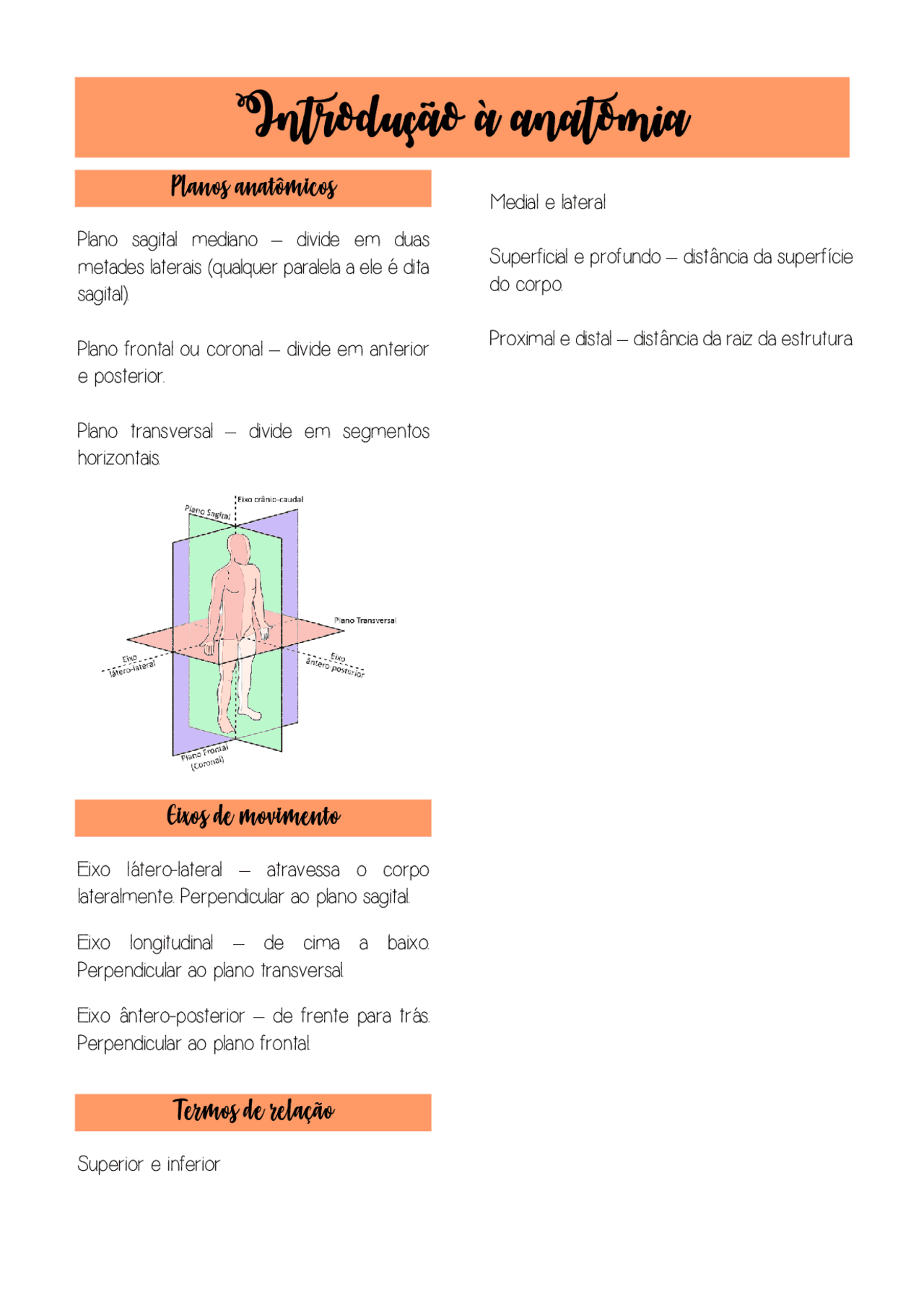Introdução à Anatomia Resumos Anatomia Docsity