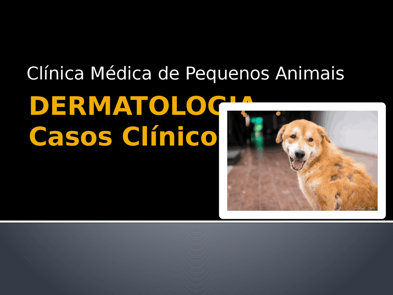 DERMATOLOGIA CASOS NA MEDICINA VETERINÁRIA - MONITORIA DE PEQUENOS ...