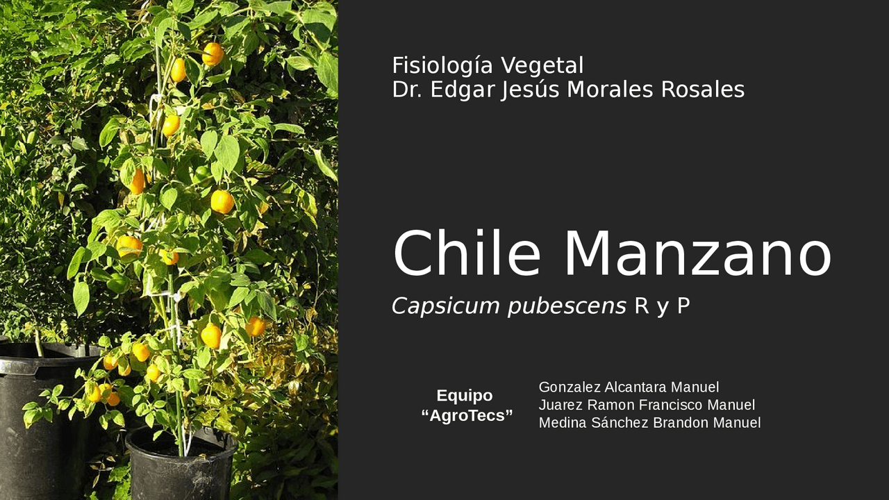 Fisiologia Vegetal en Agronomia | Slides de Fisiologia vegetal | Docsity
