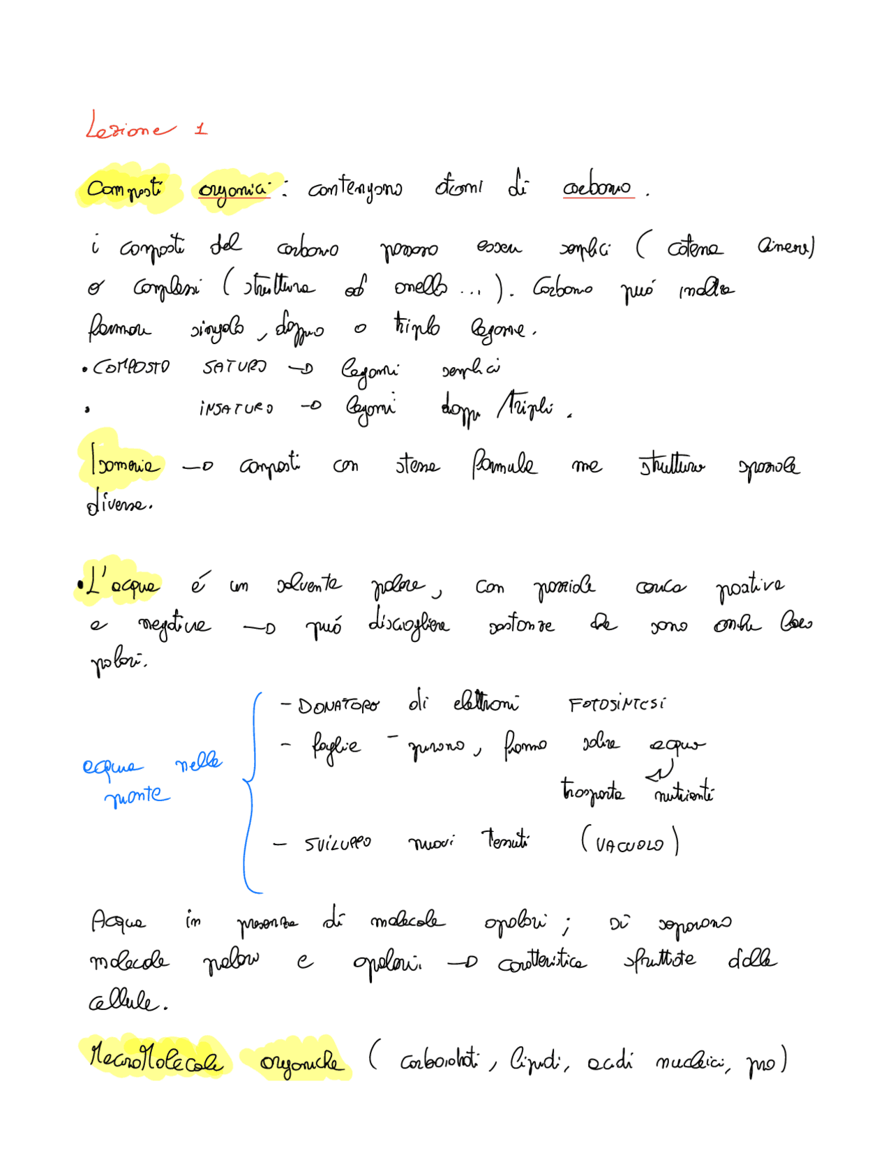 Appunti Di Botanica Generale Cellula Parte 1 Appunti Di Botanica