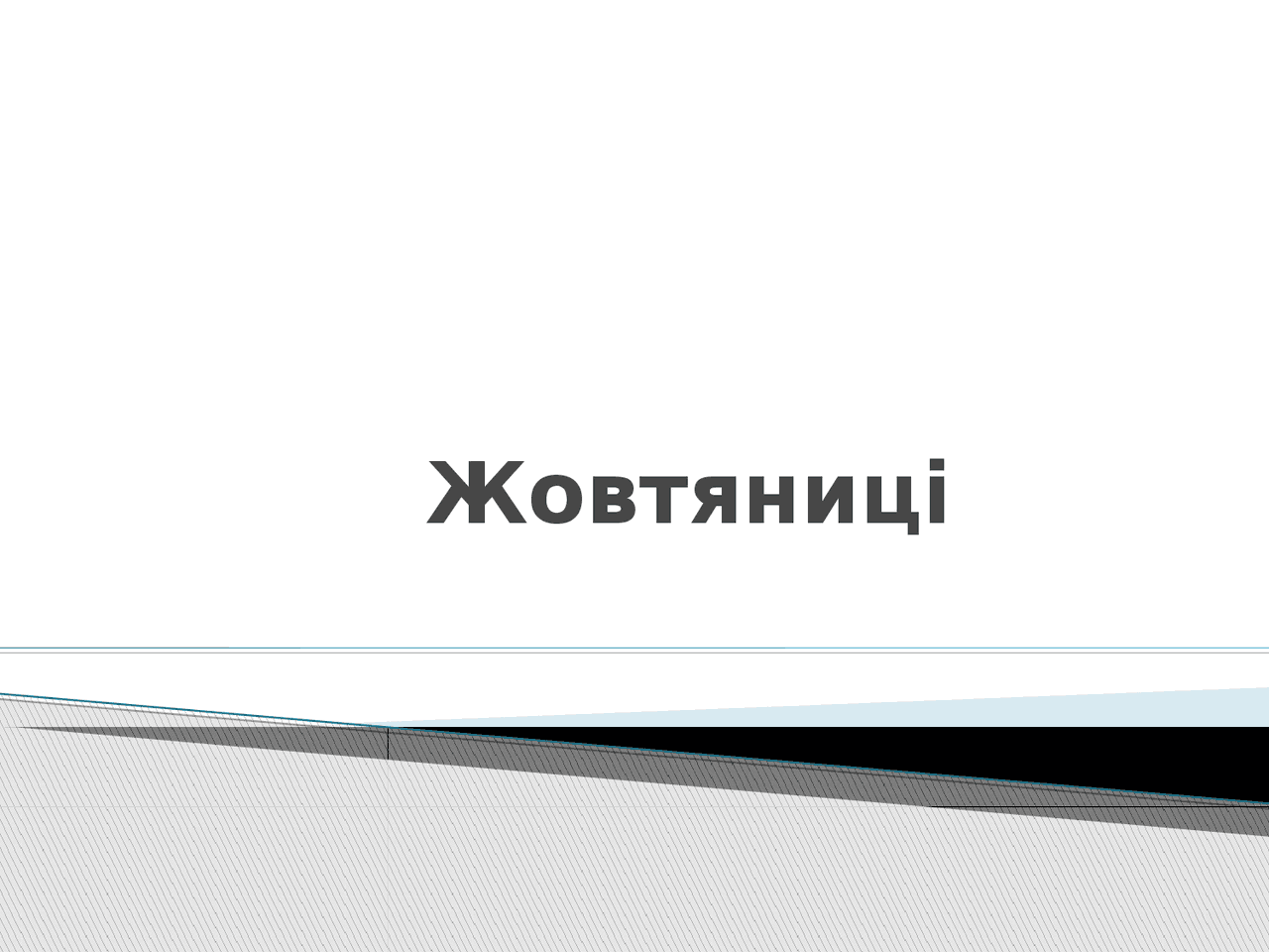 Презентації з терапії Презентации Терапия Docsity