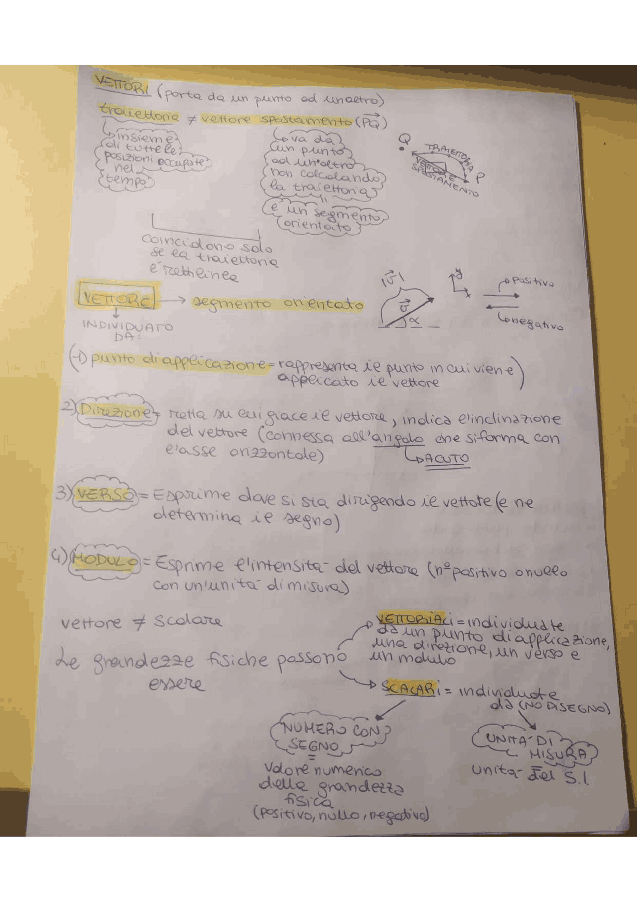 I Vettori E Le Loro Caratteristiche Schemi E Mappe Concettuali Di