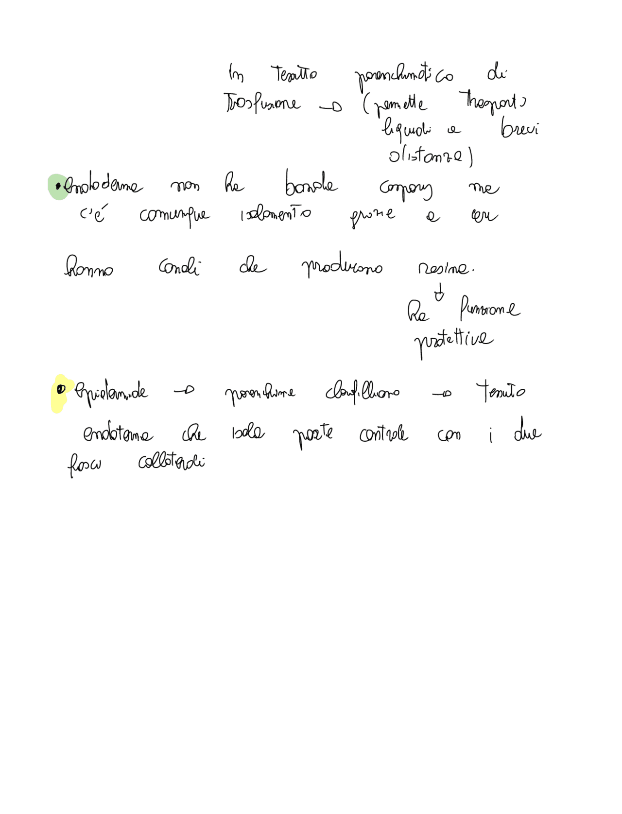 Appunti Di Botanica Generale Parte 4 Struttura Secondaria E