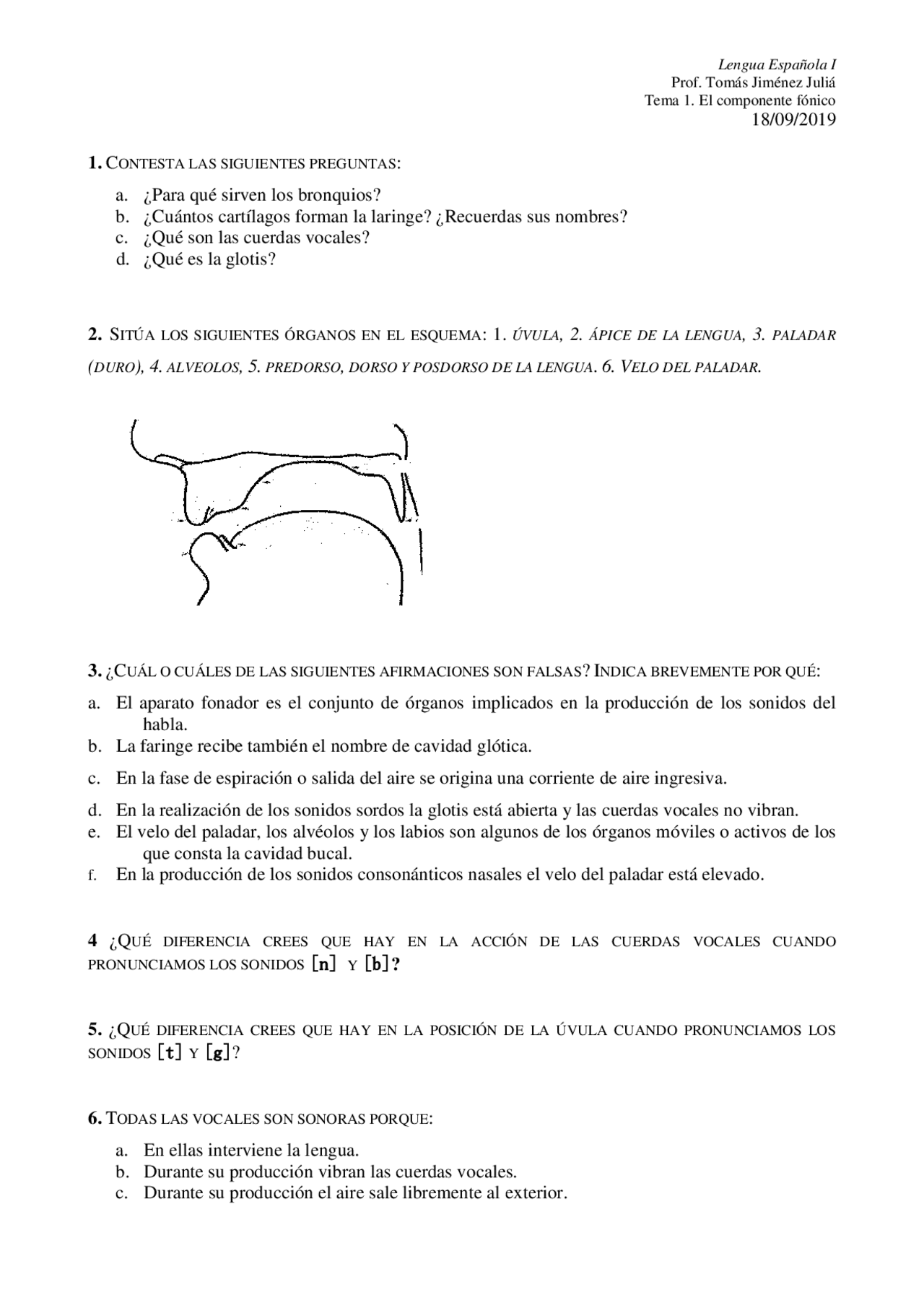 Ejercicios Fonética Español 1 Ejercicios De Idioma Español Docsity