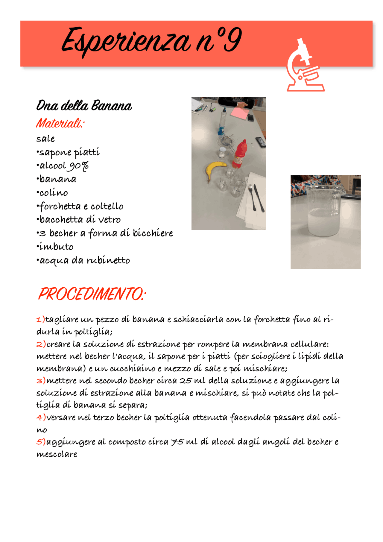 Esperimento DNA della banana | Schemi e mappe concettuali di Chimica | Docsity