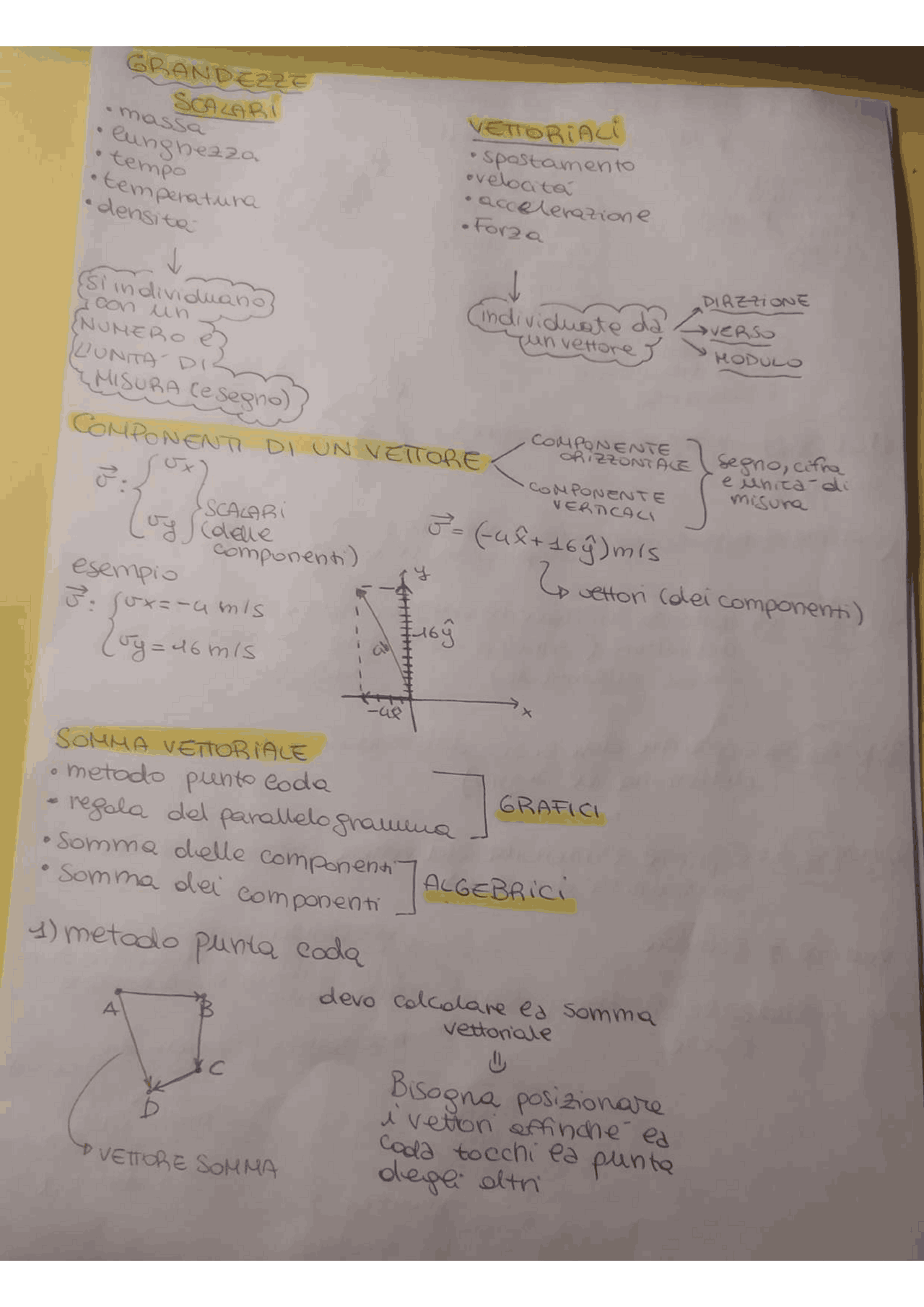 I Vettori E Le Loro Caratteristiche Schemi E Mappe Concettuali Di