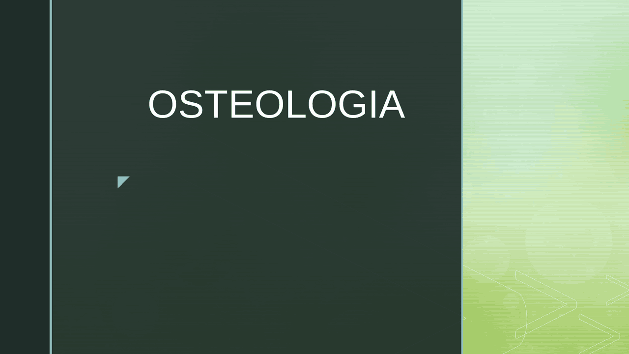 Huesos Del Sistema Esqueletico Monografías Ensayos De Medicina Docsity