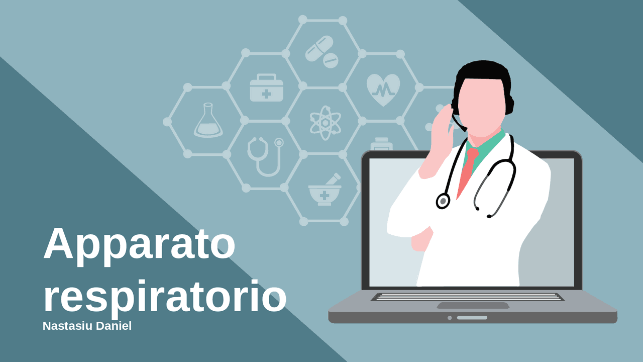 Apparato Respiratorio Slide Di Biologia Docsity