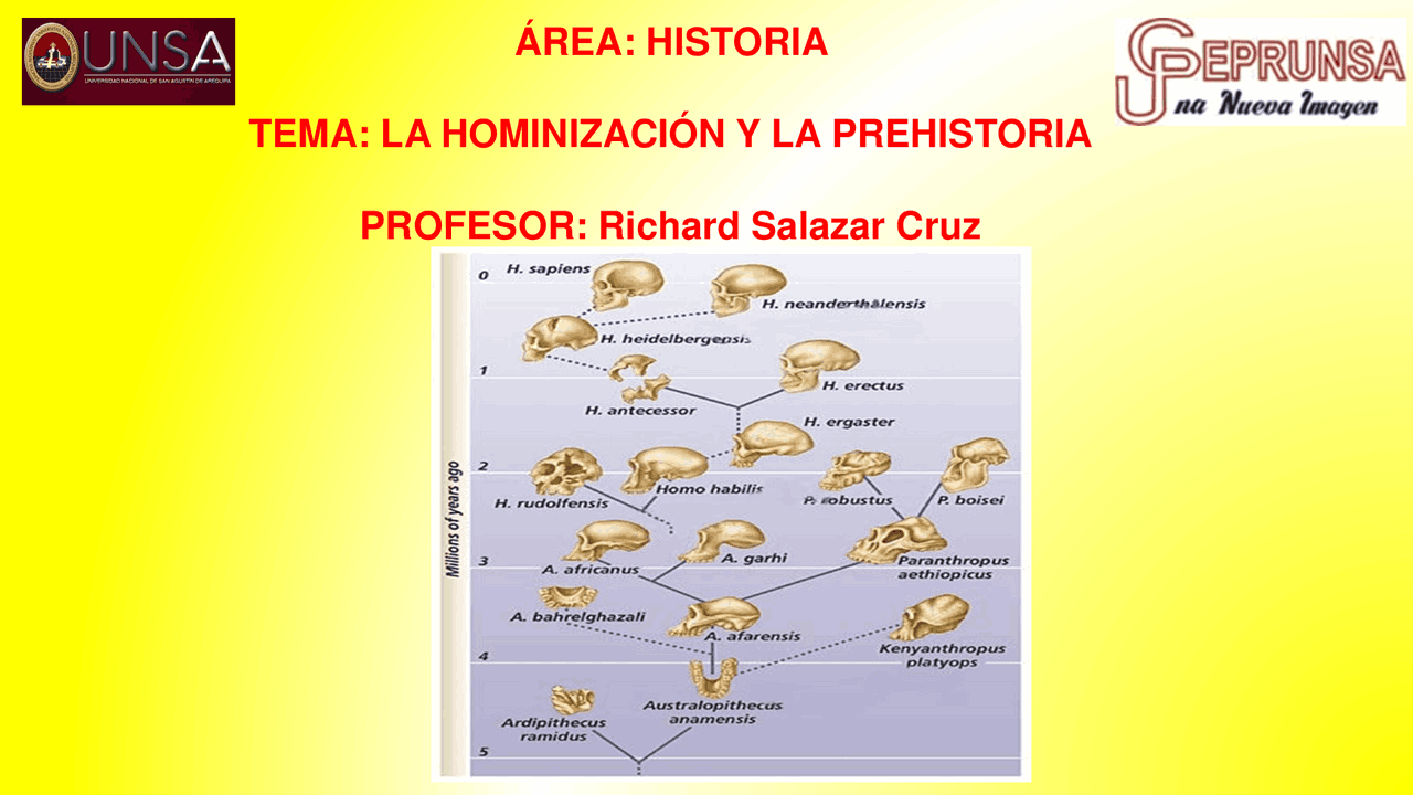 Hominizacion Y Evolucion Del Hombre Resúmenes De Historia Docsity