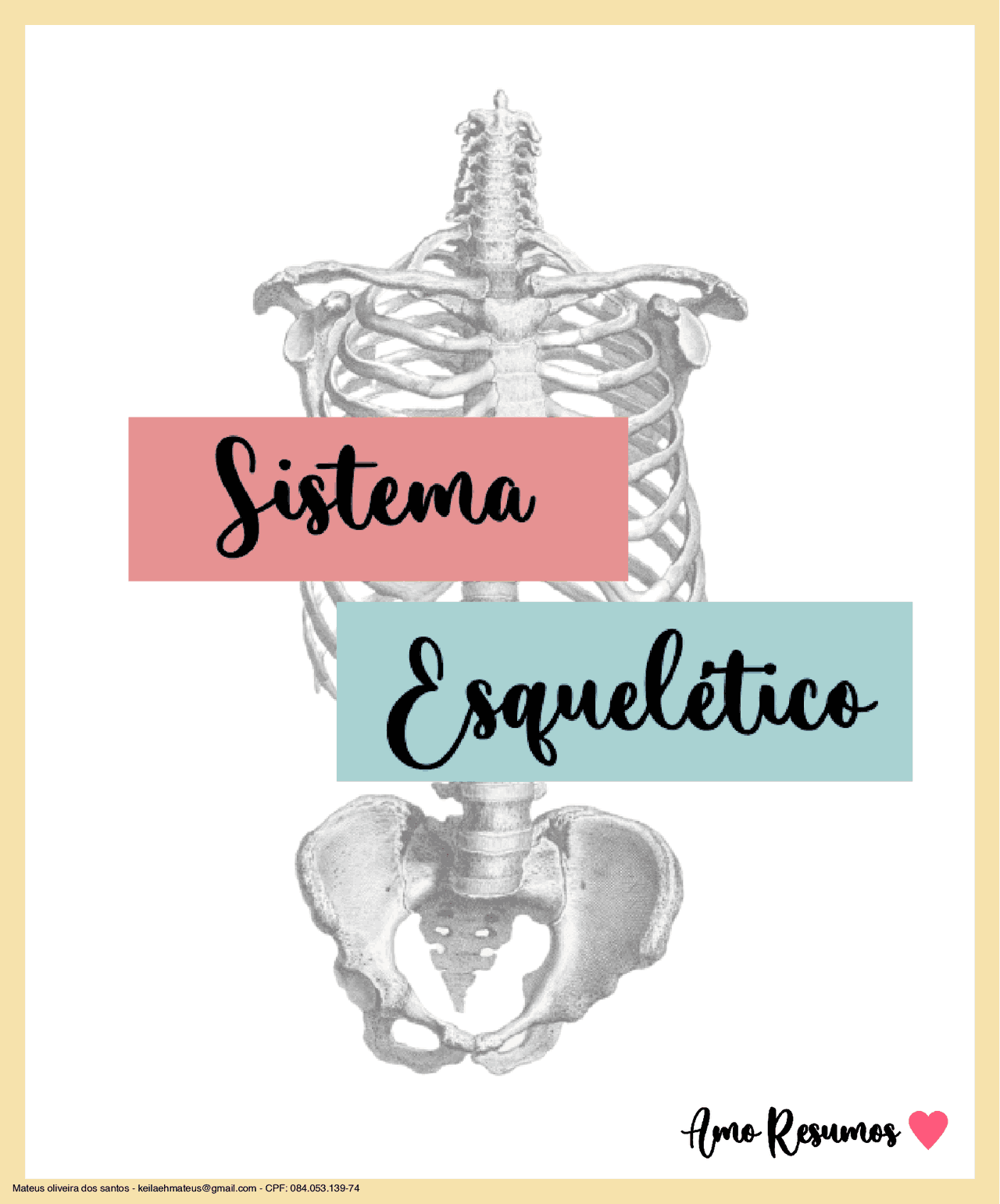 Sistema Esquelético Humano Resumos Biologia Docsity