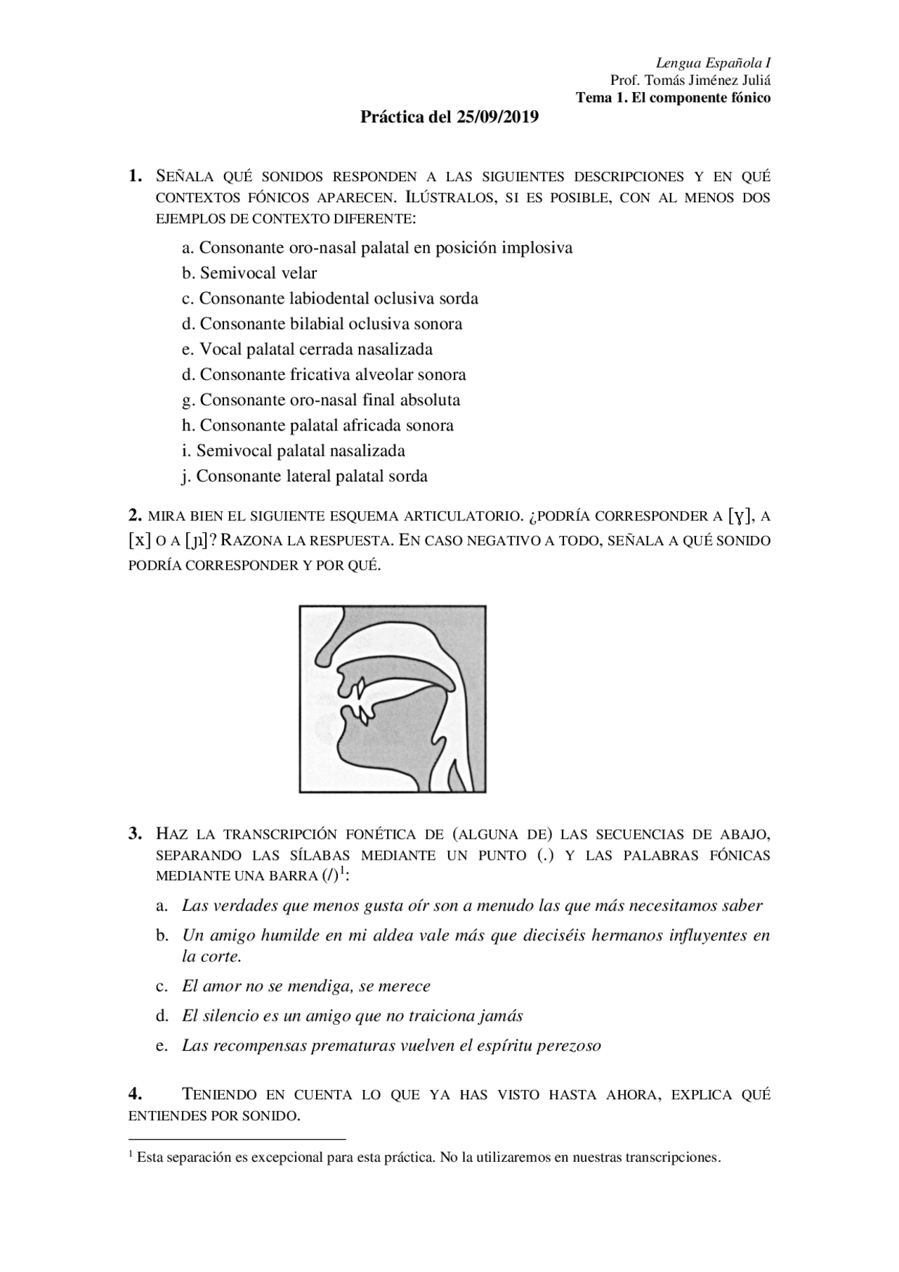 Ejercicios fonética Español I | Ejercicios de Idioma Español | Docsity