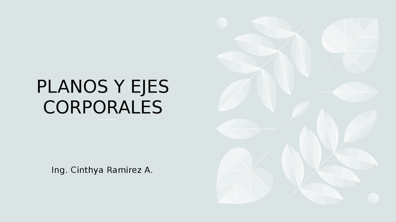 Planos Y Ejes Corporales Diapositivas De Anatomía Aplicada Docsity