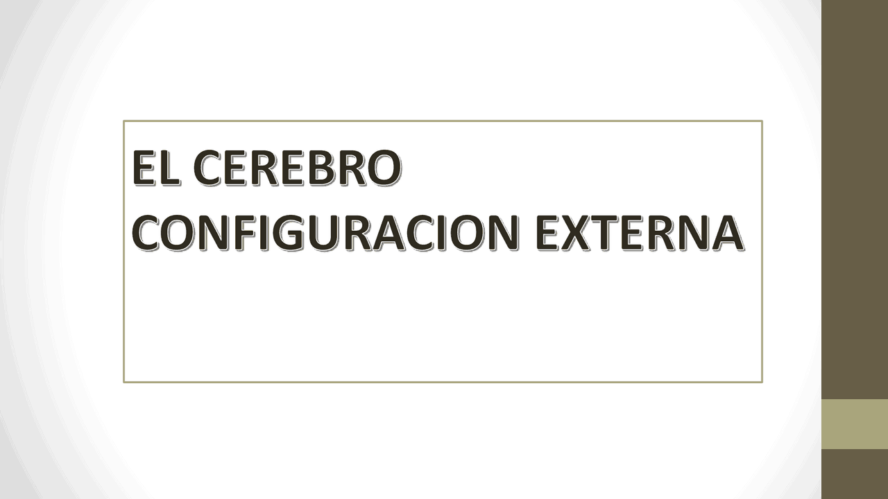 Primer Parcial Neuroanatomia Diapositivas De Neuroanatomía Docsity