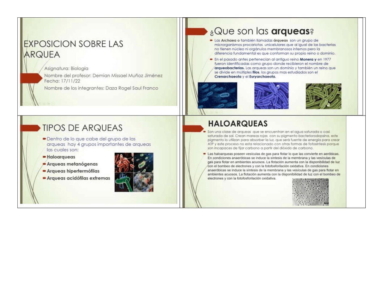 Exposición sobre las arqueas | Diapositivas de Biología | Docsity